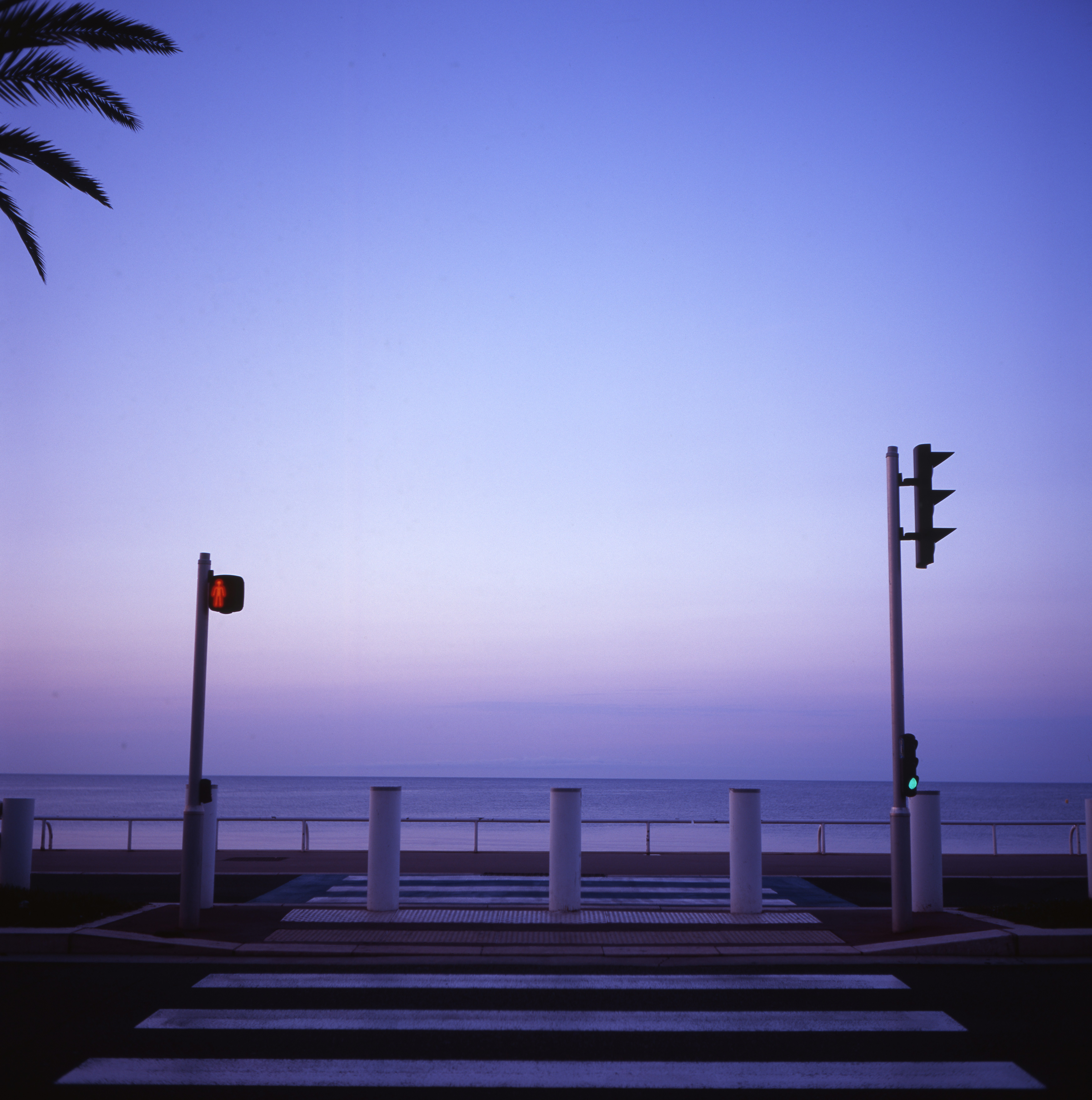 Verdant Signal at Dusk: Seaside Crosswalk Framed by a Purple Horizon