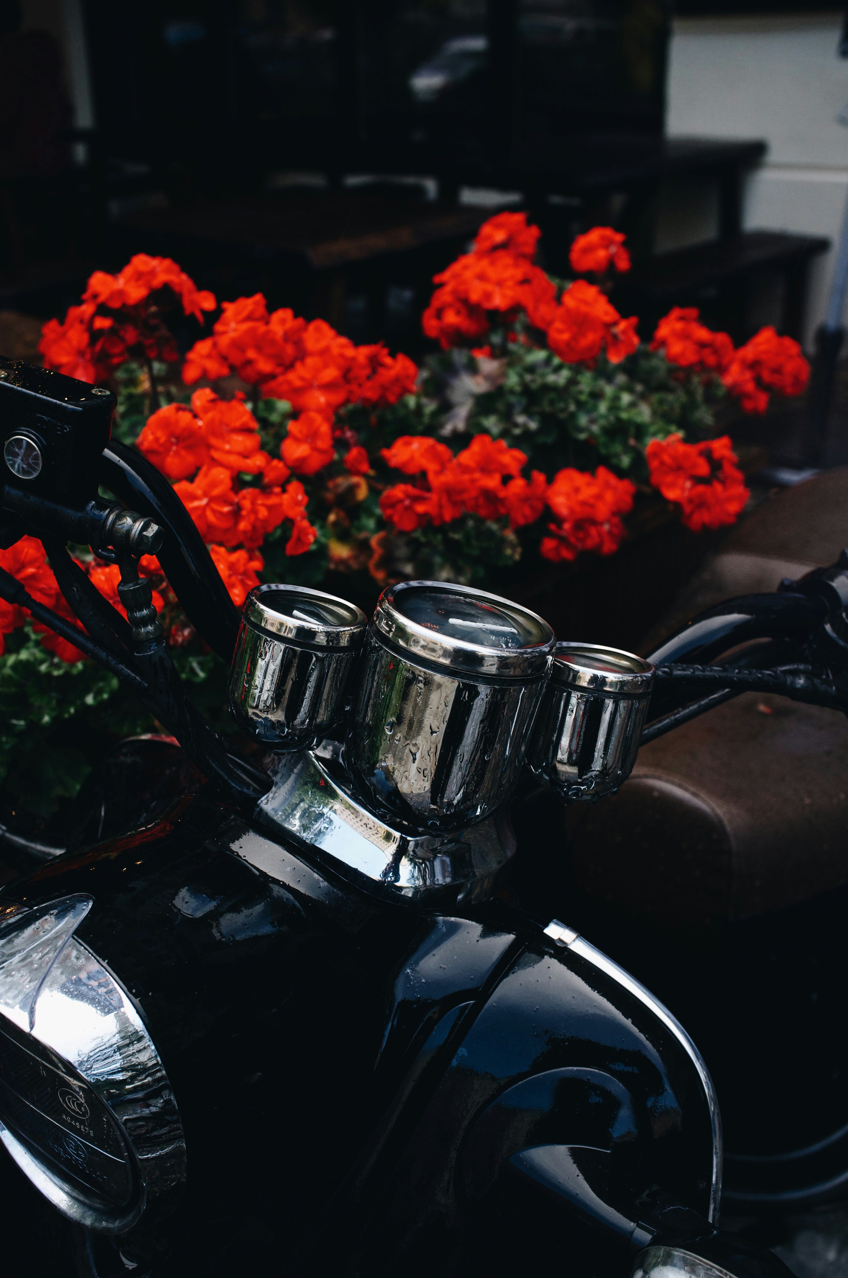 Crimson Blooms Framing Chrome Gauges on a Street-Side Motorcycle