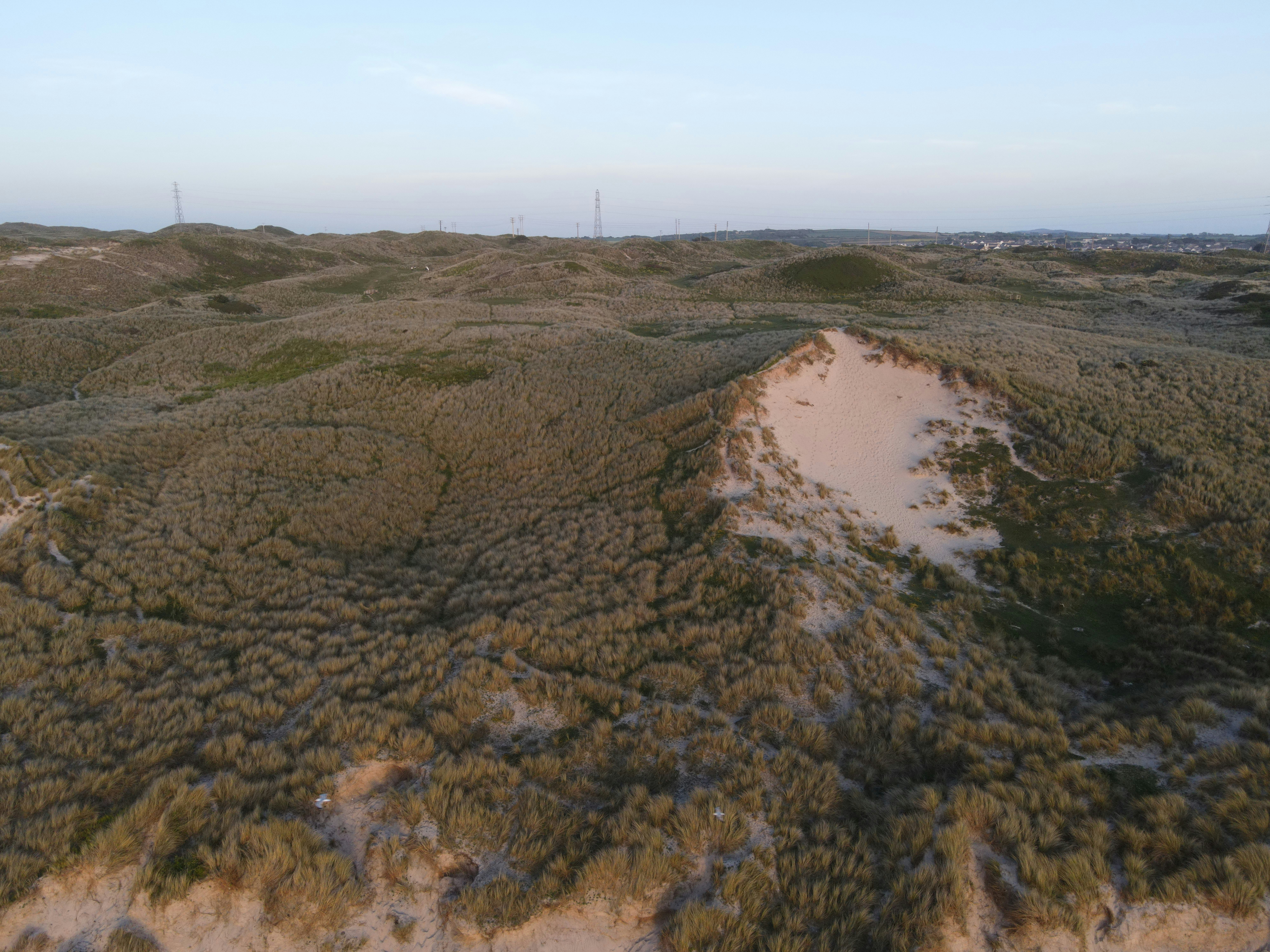 Desert Dune Sea From Above: Gentle Ridge Lines and Sand Crest