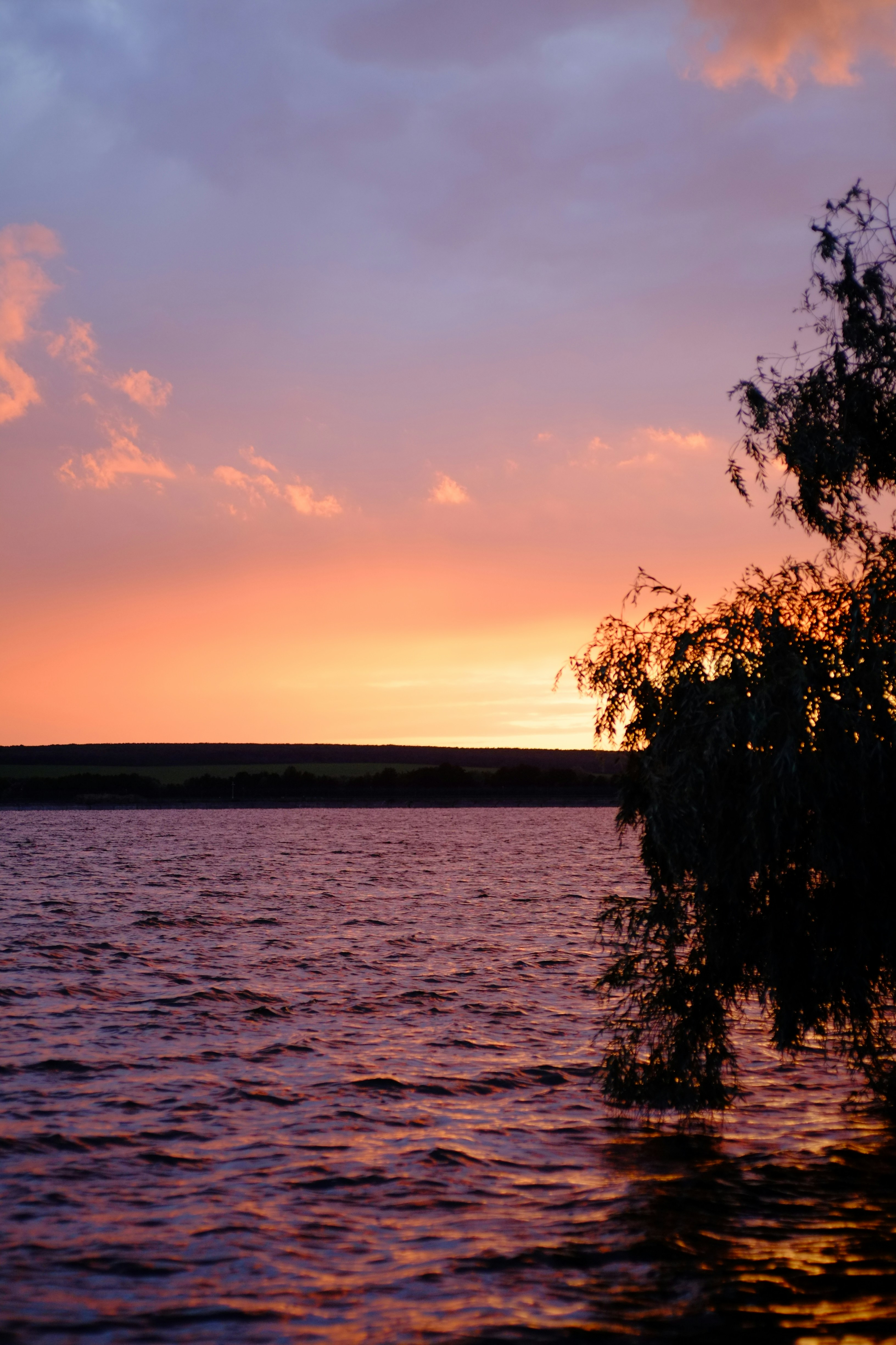 Willow at Dusk Over a Rippling Lake