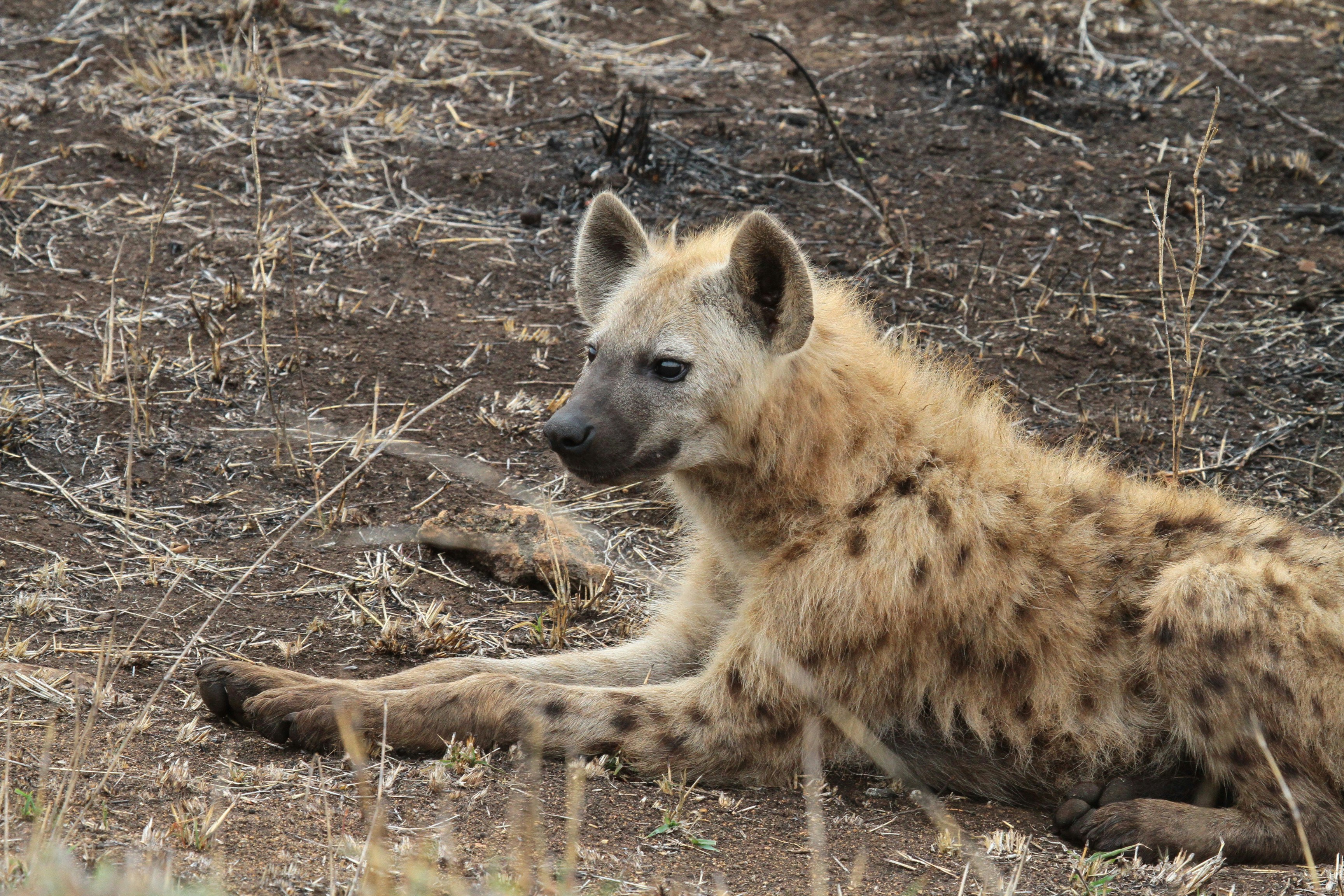 Photo by Mitch Mitchell with Canon EOS 7D