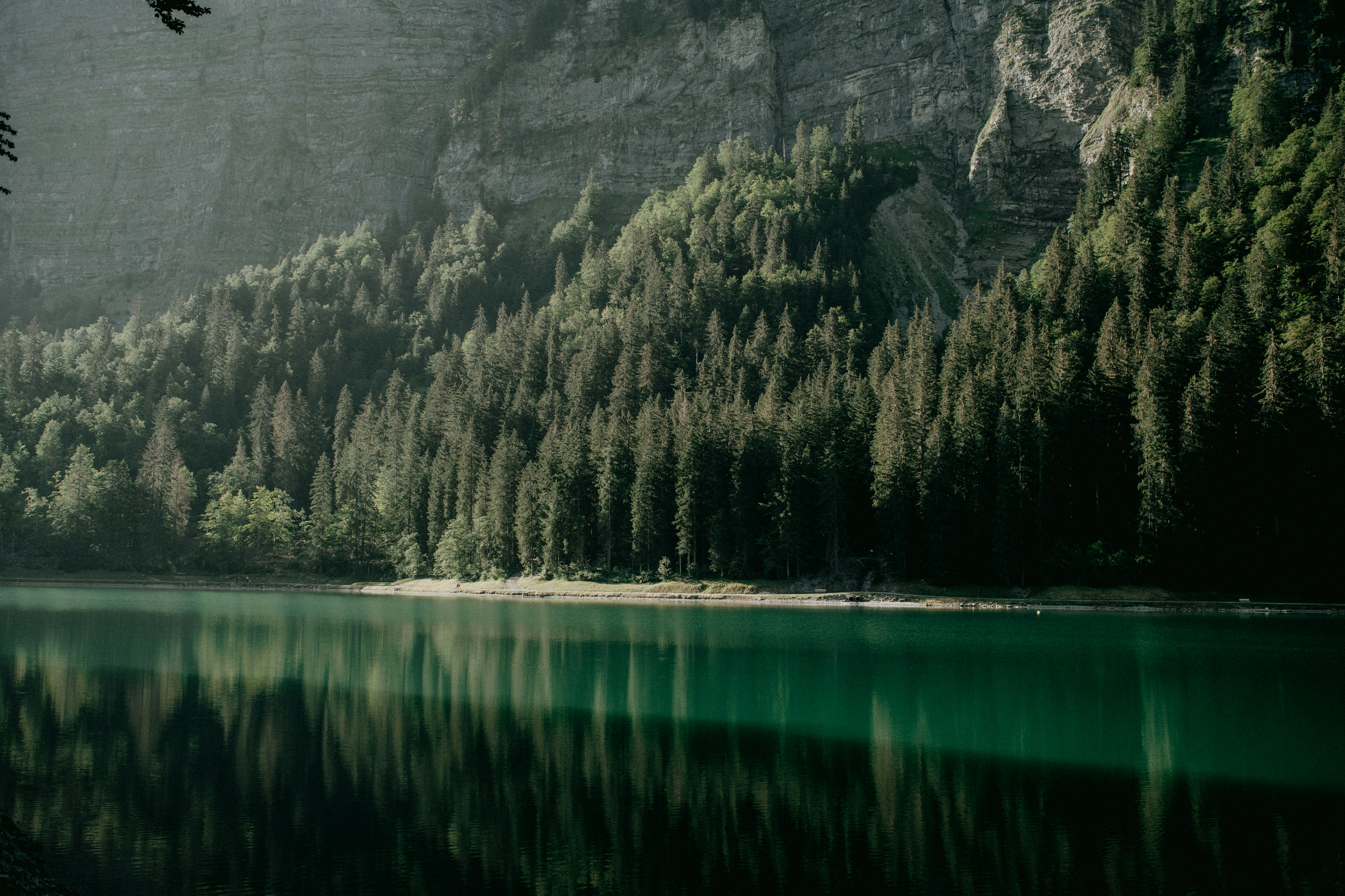 Serene lake reflecting dense evergreen forest under a towering rocky cliff.