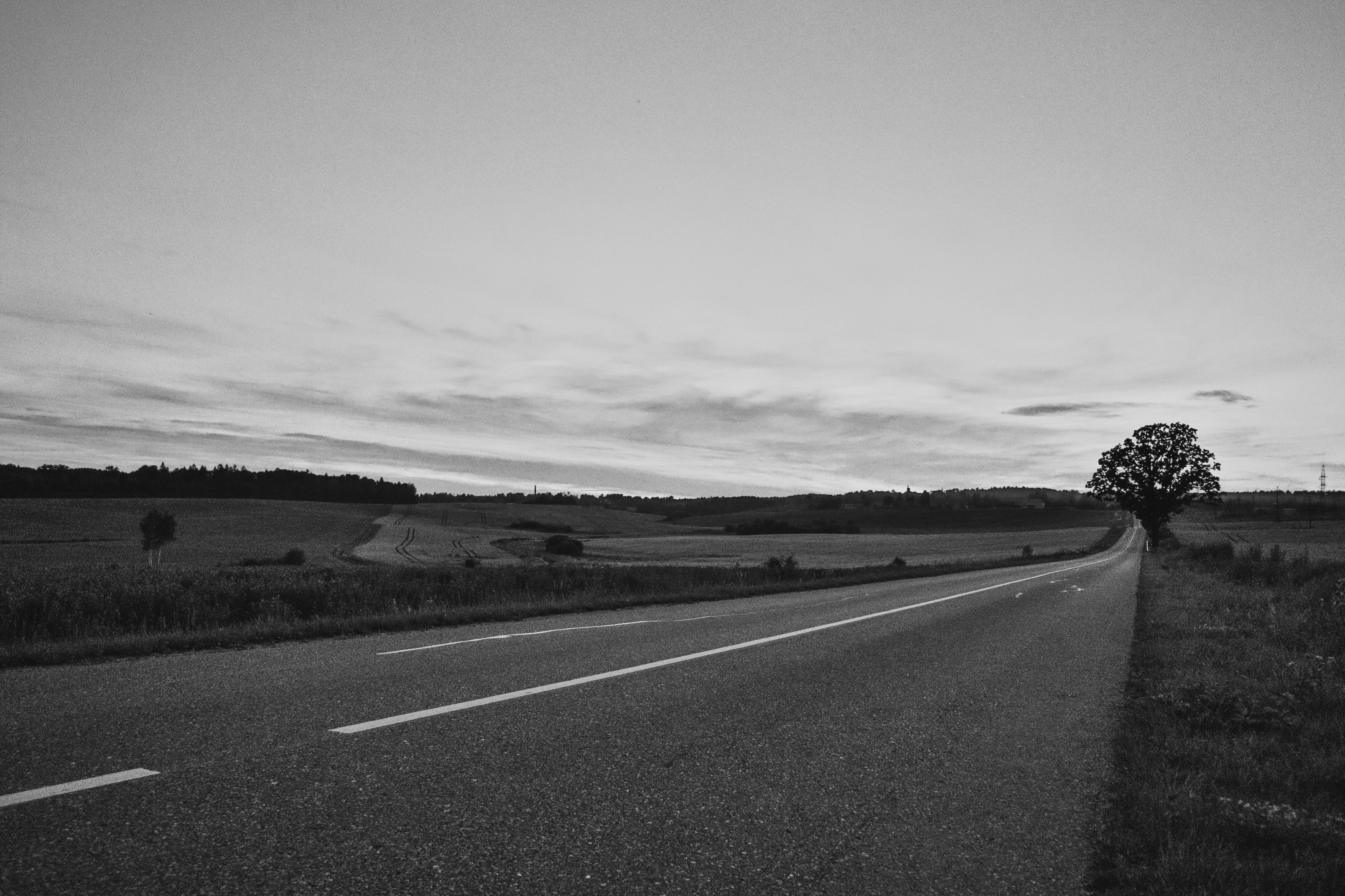 A winding road stretches through serene fields under a twilight sky, leading to a solitary tree on the horizon.