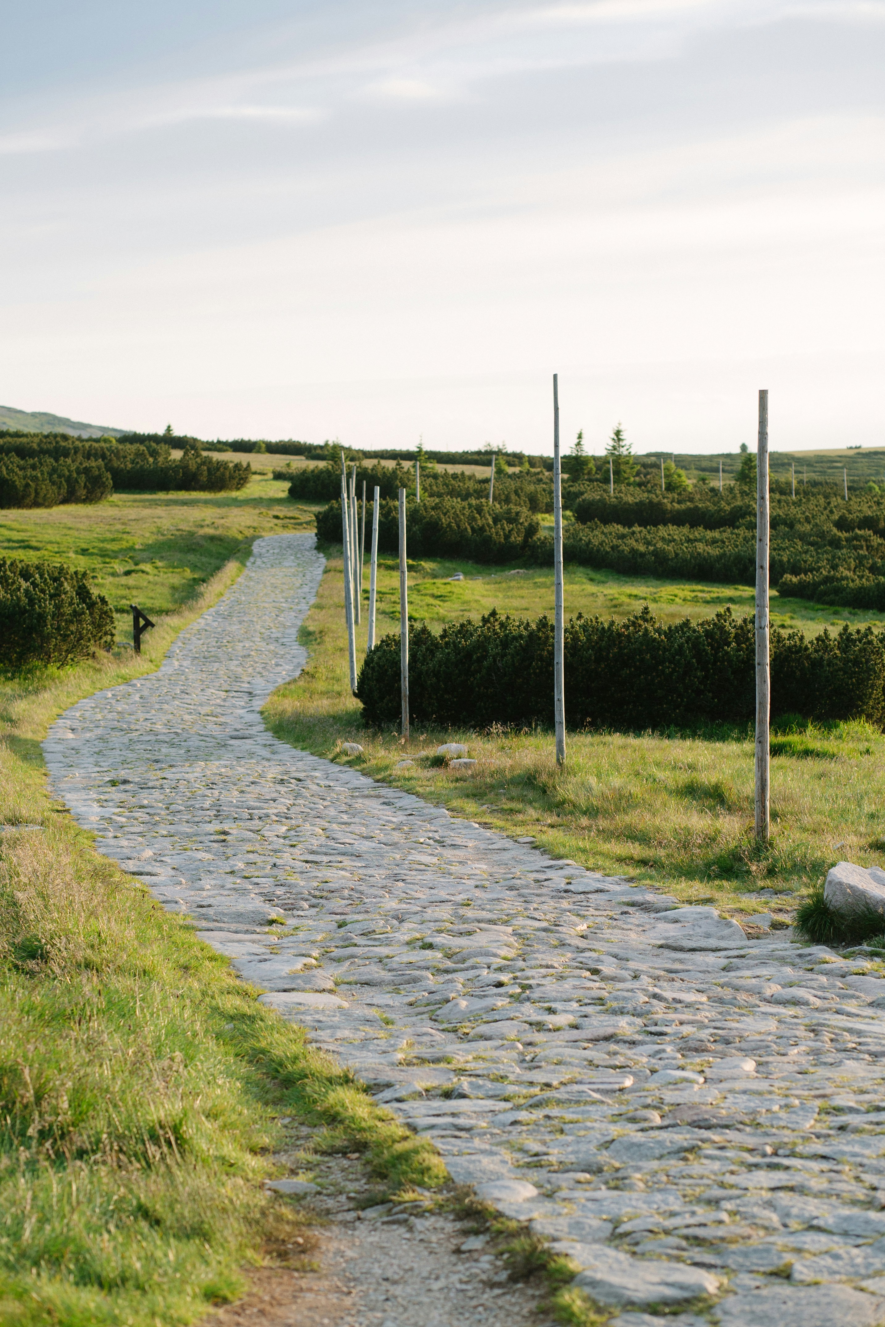Un chemin de pierre au milieu d’un champ herbeux photo – Photo Pologne ...