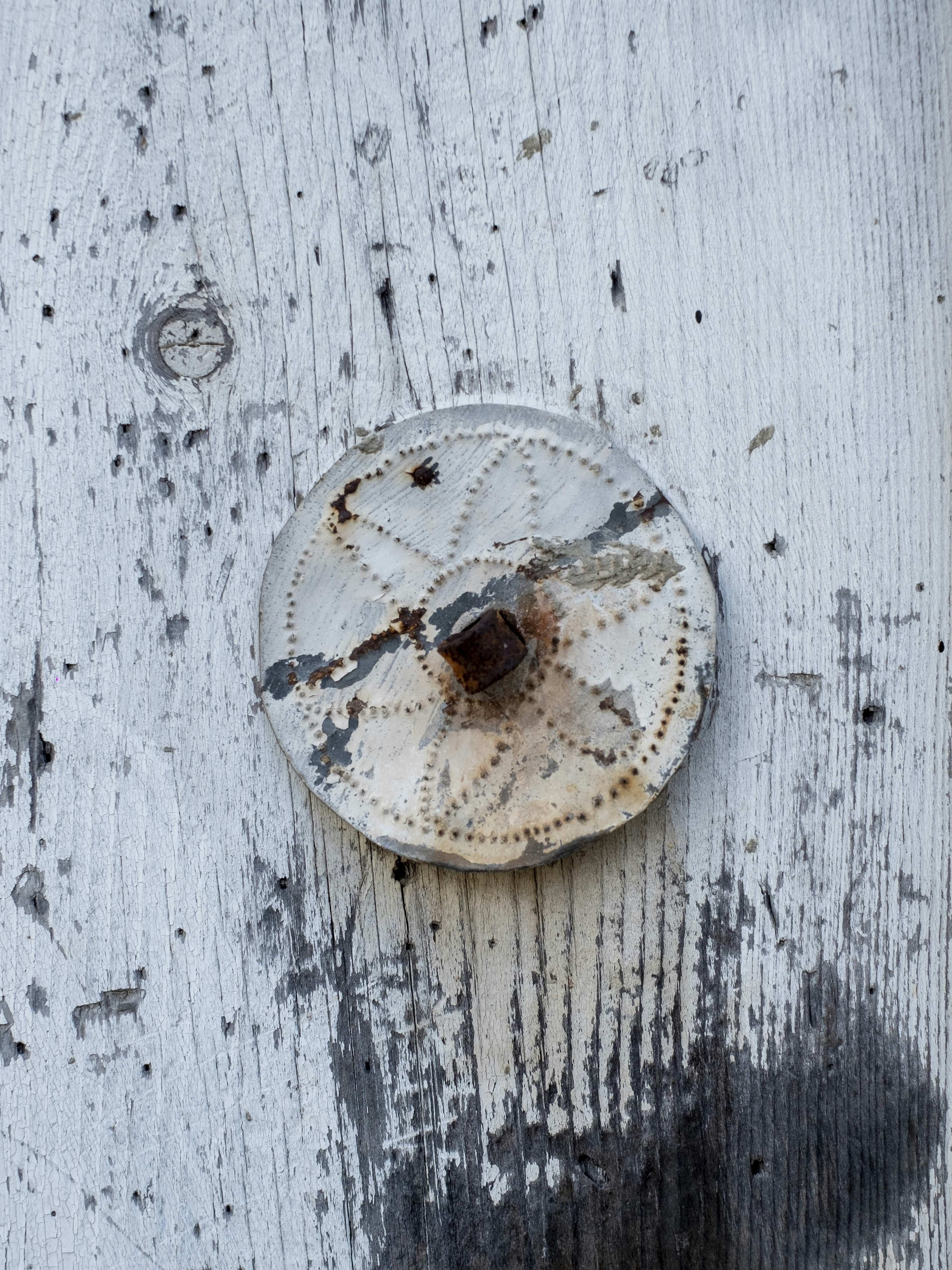 Rust-streaked sand dollar on weathered white planks