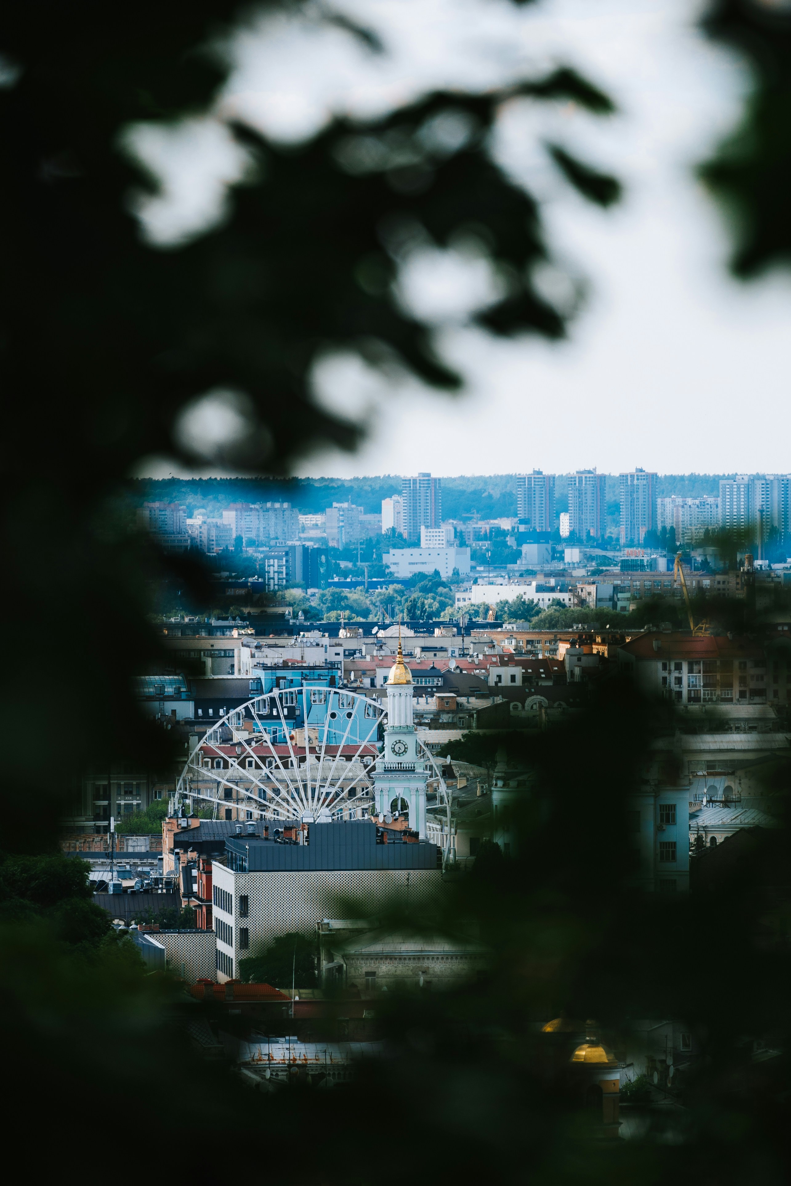 Framed Cityscape: The Ferris Wheel and Clock Tower Beyond the Leaves