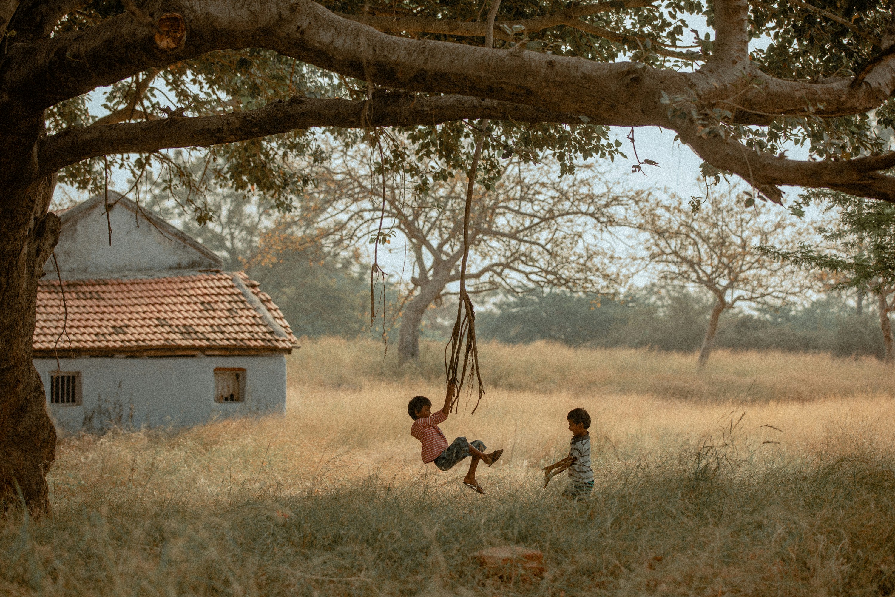 Two children playing in a field with a house in the background photo ...