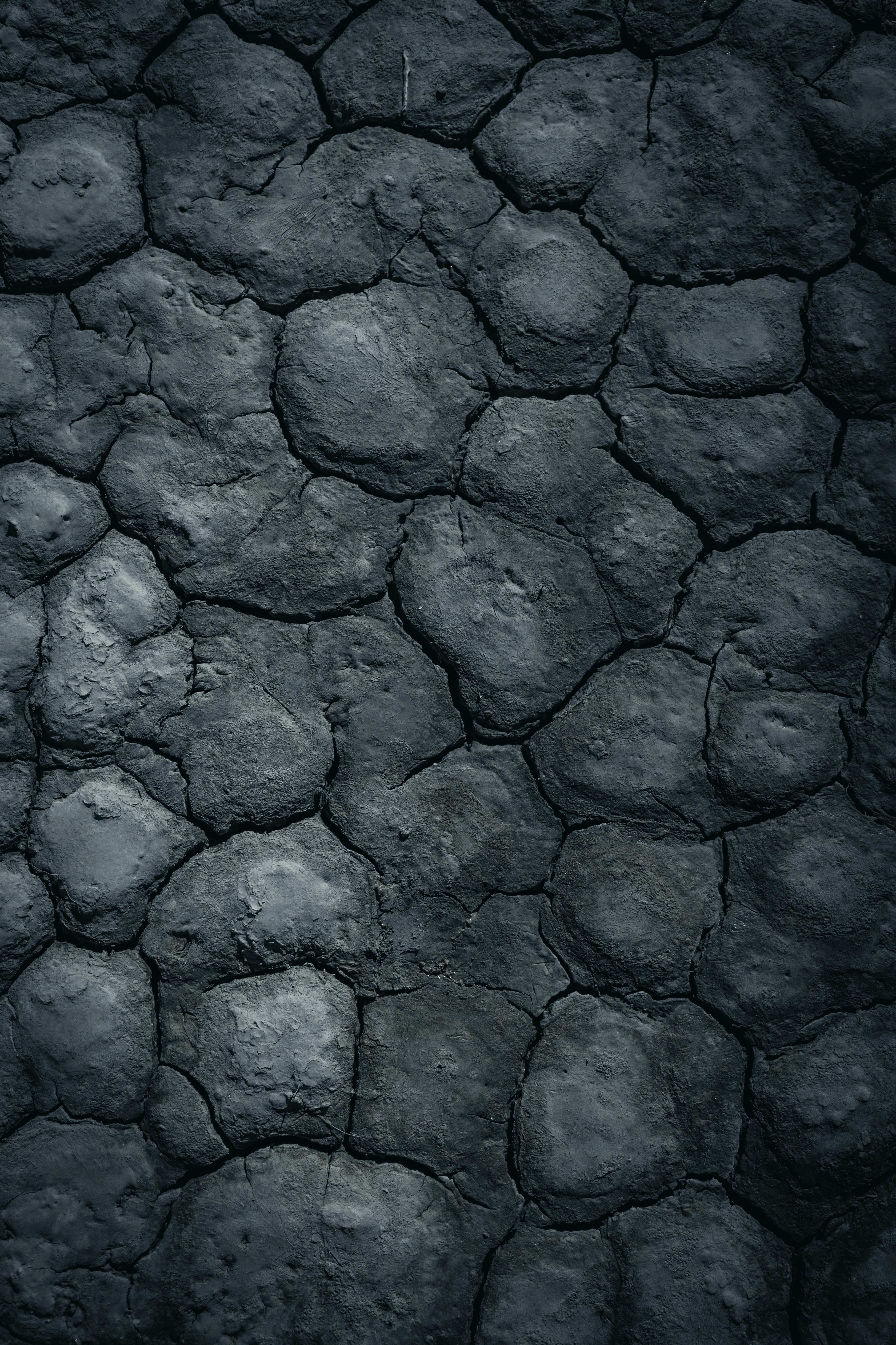 Close-up of cracked earth surface showcasing intricate patterns and textures. The play of light and shadow enhances the details.