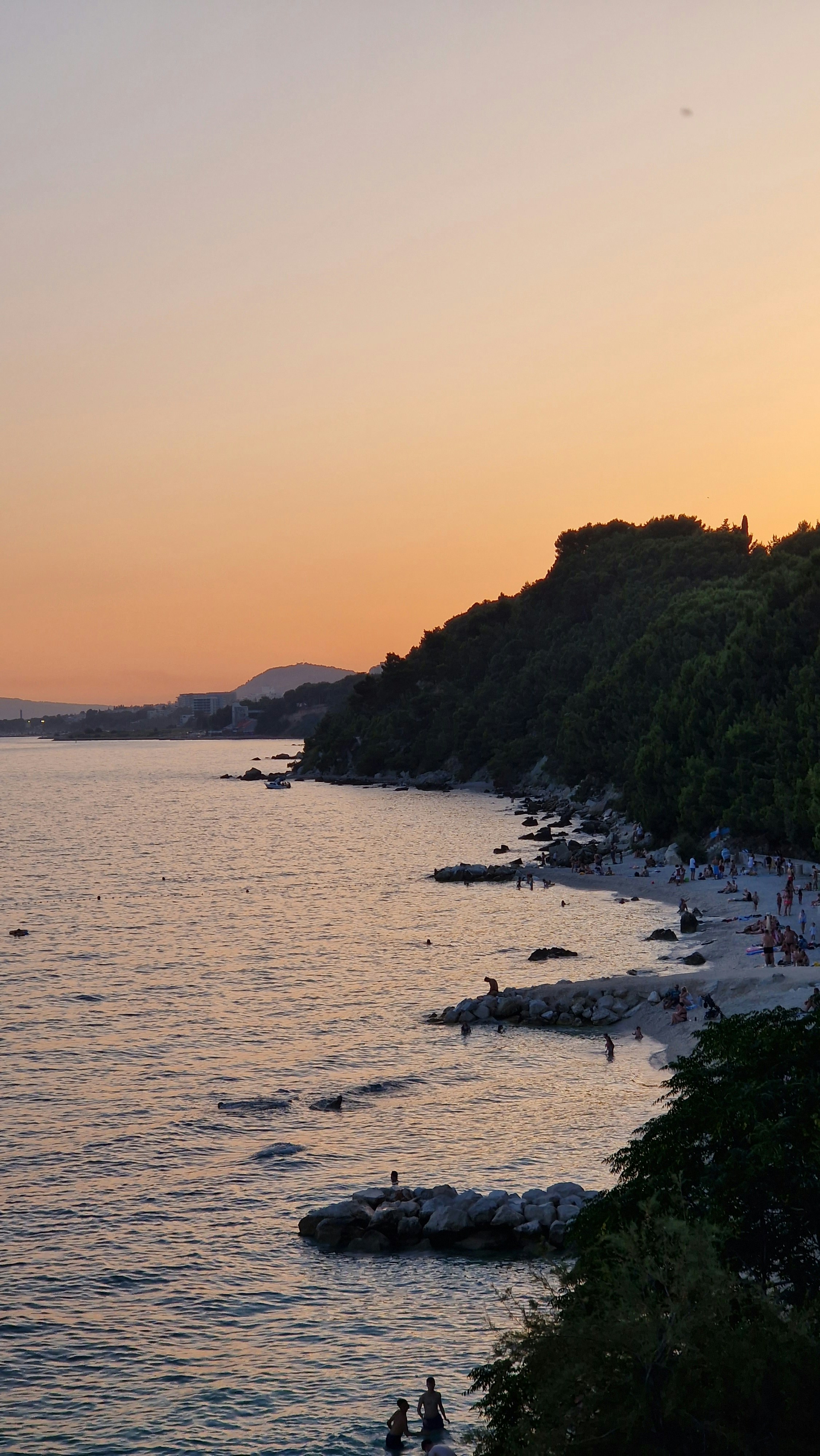 Sunset Glow Along a Pine-Covered Promontory Over a Pebble Beach