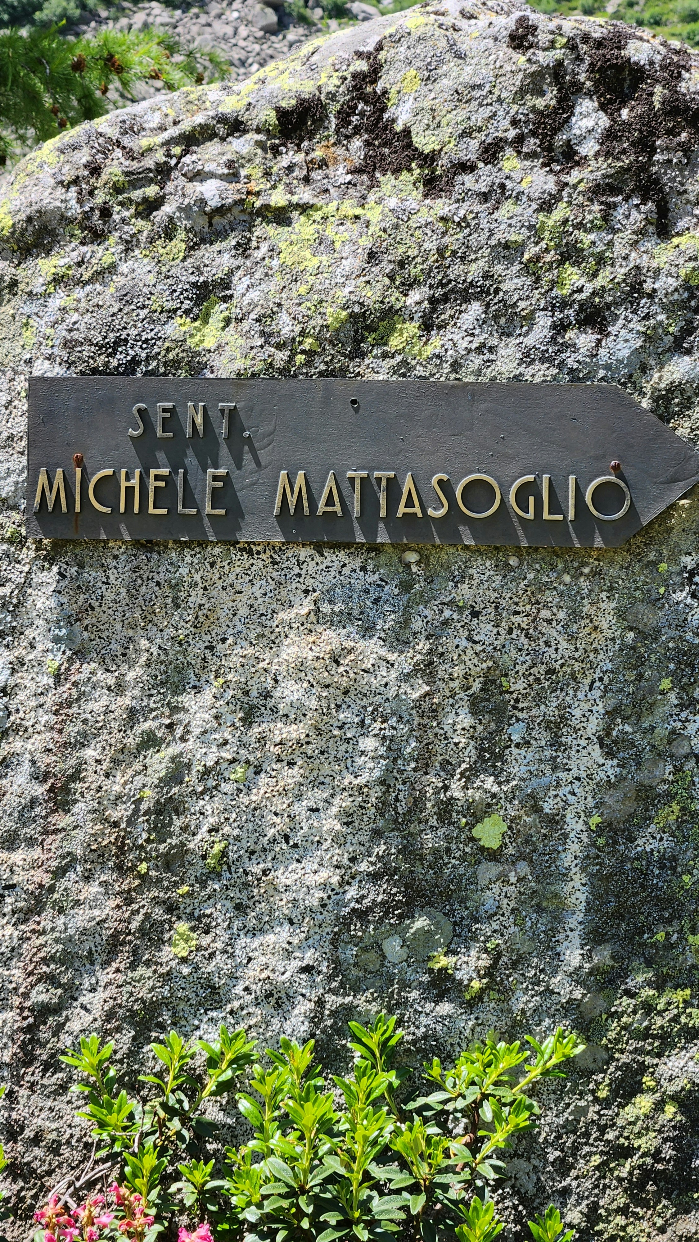 Mossy granite rock supports a dark metal directional sign with raised letters, framed by bright lichen in daylight.