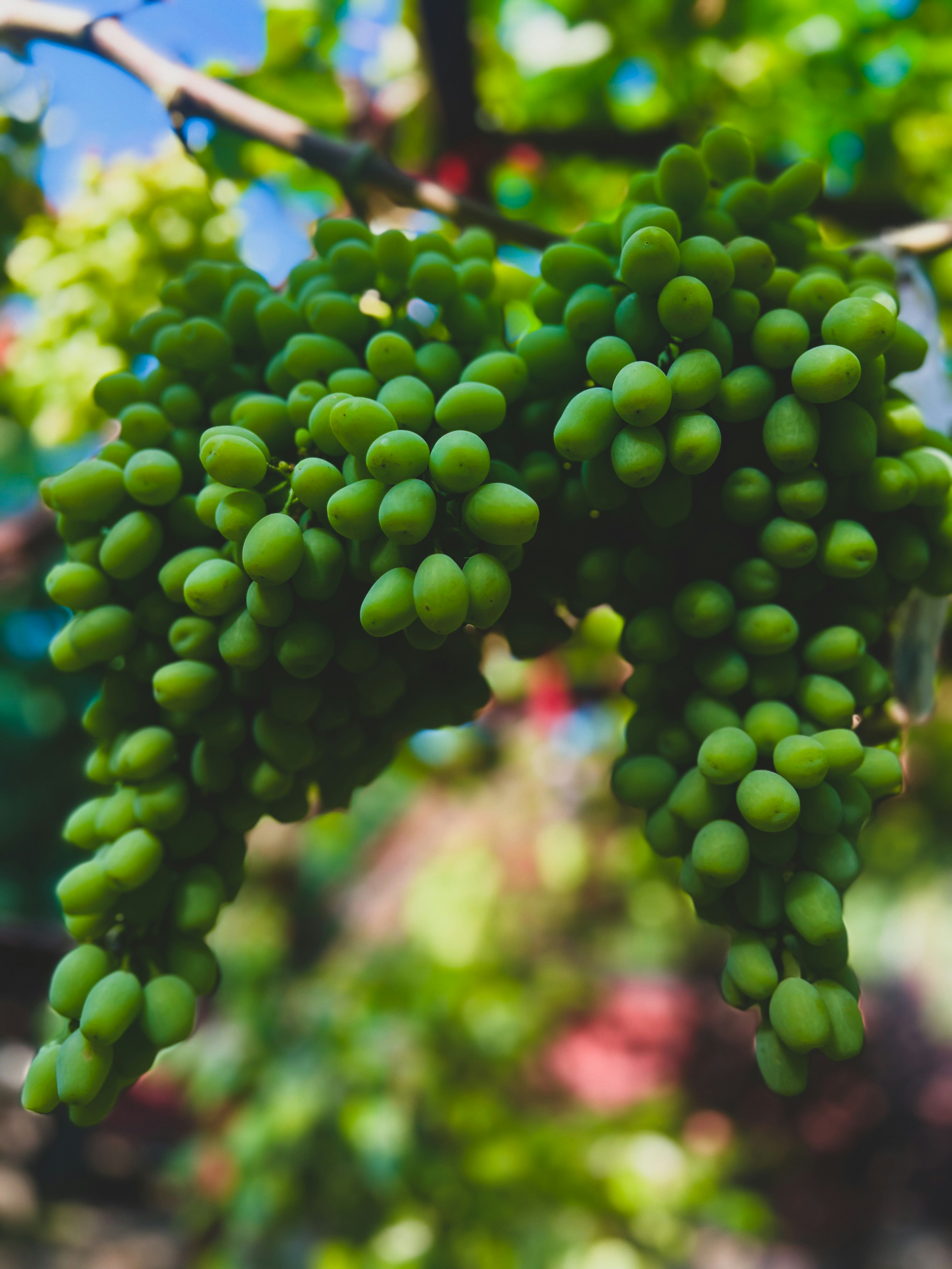 Photo by Esten Erbol with Apple iPhone 13 Pro Max