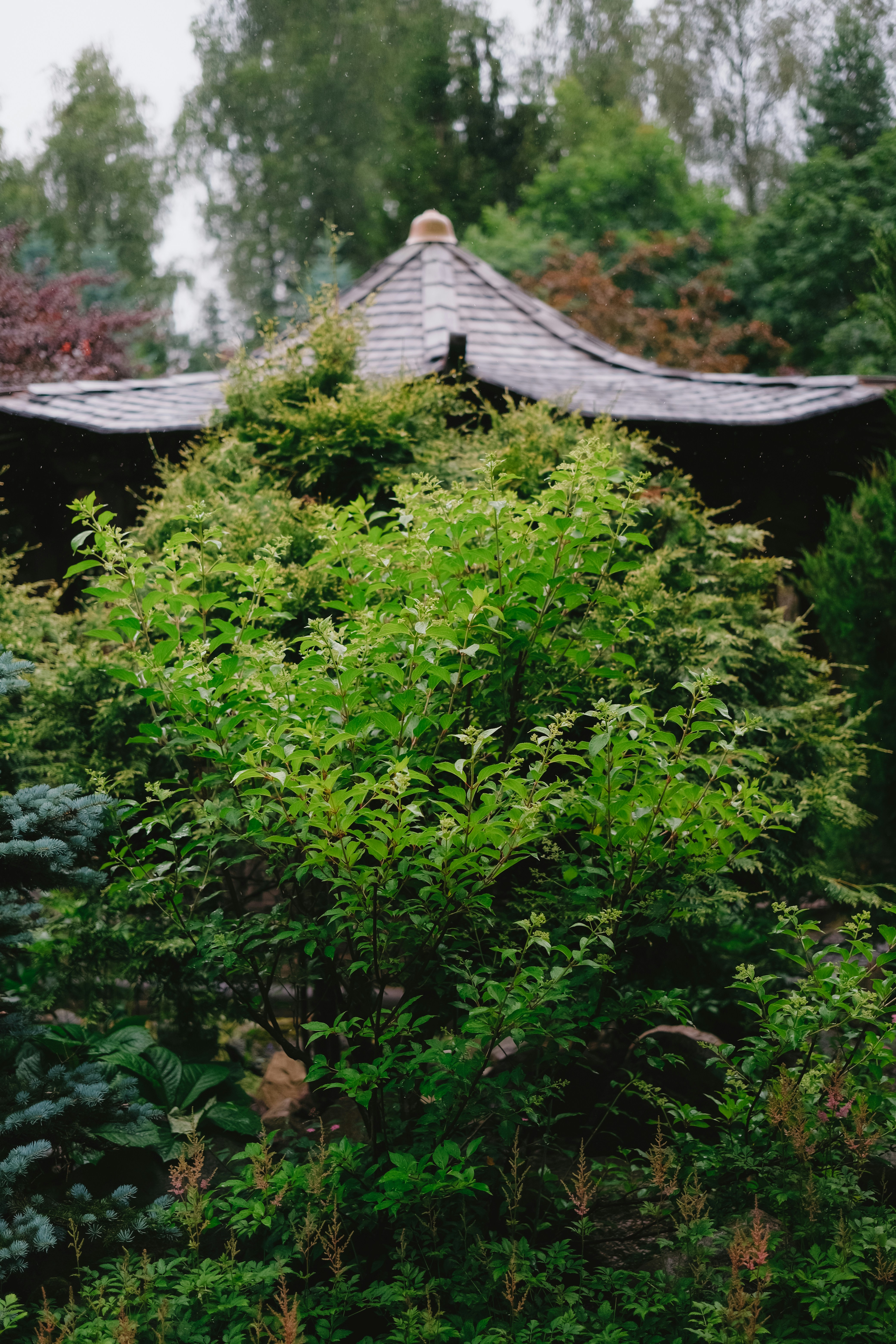 Photo by Dmitrii Rogov with Fujifilm X-T3