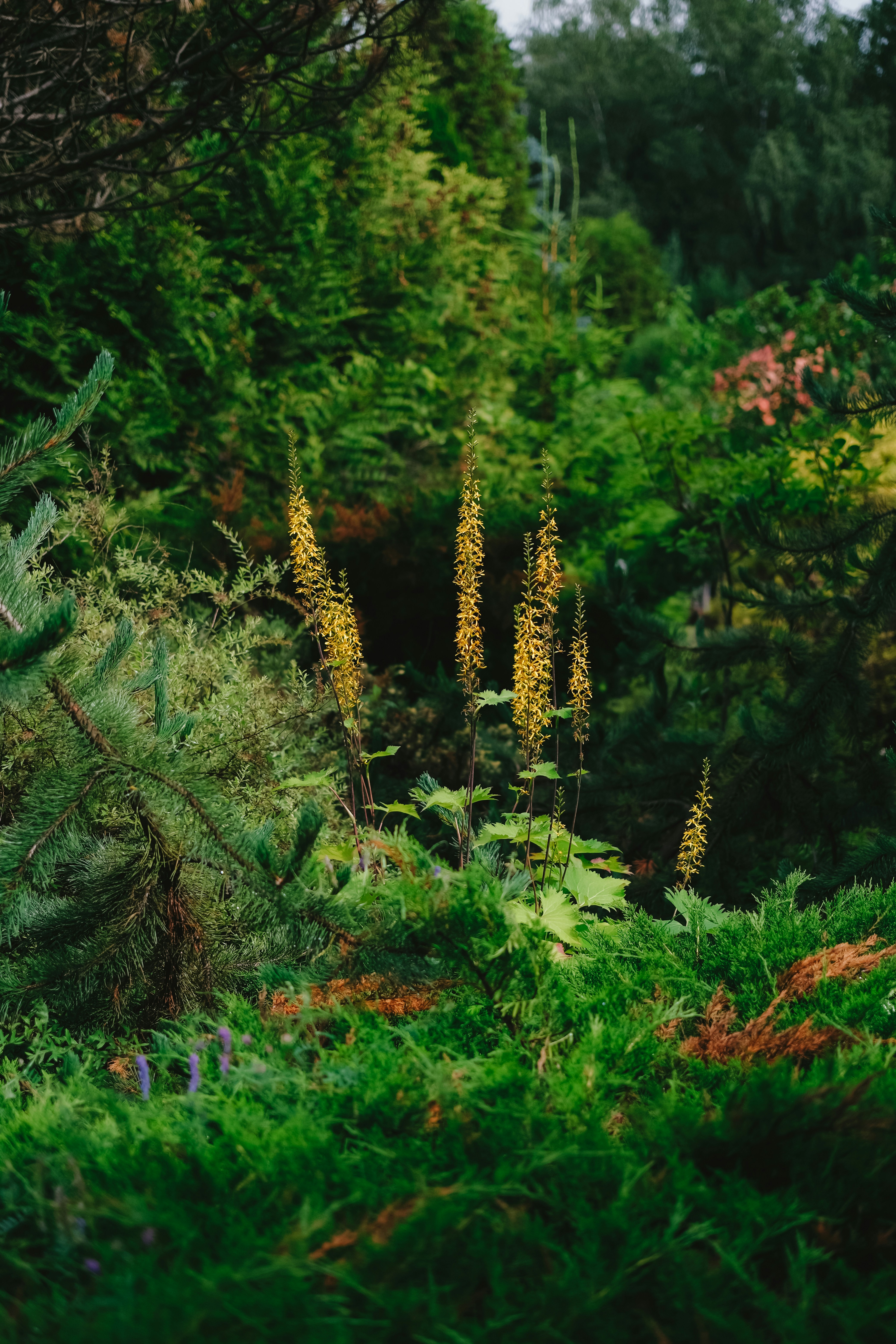 Photo by Dmitrii Rogov with Fujifilm X-T3