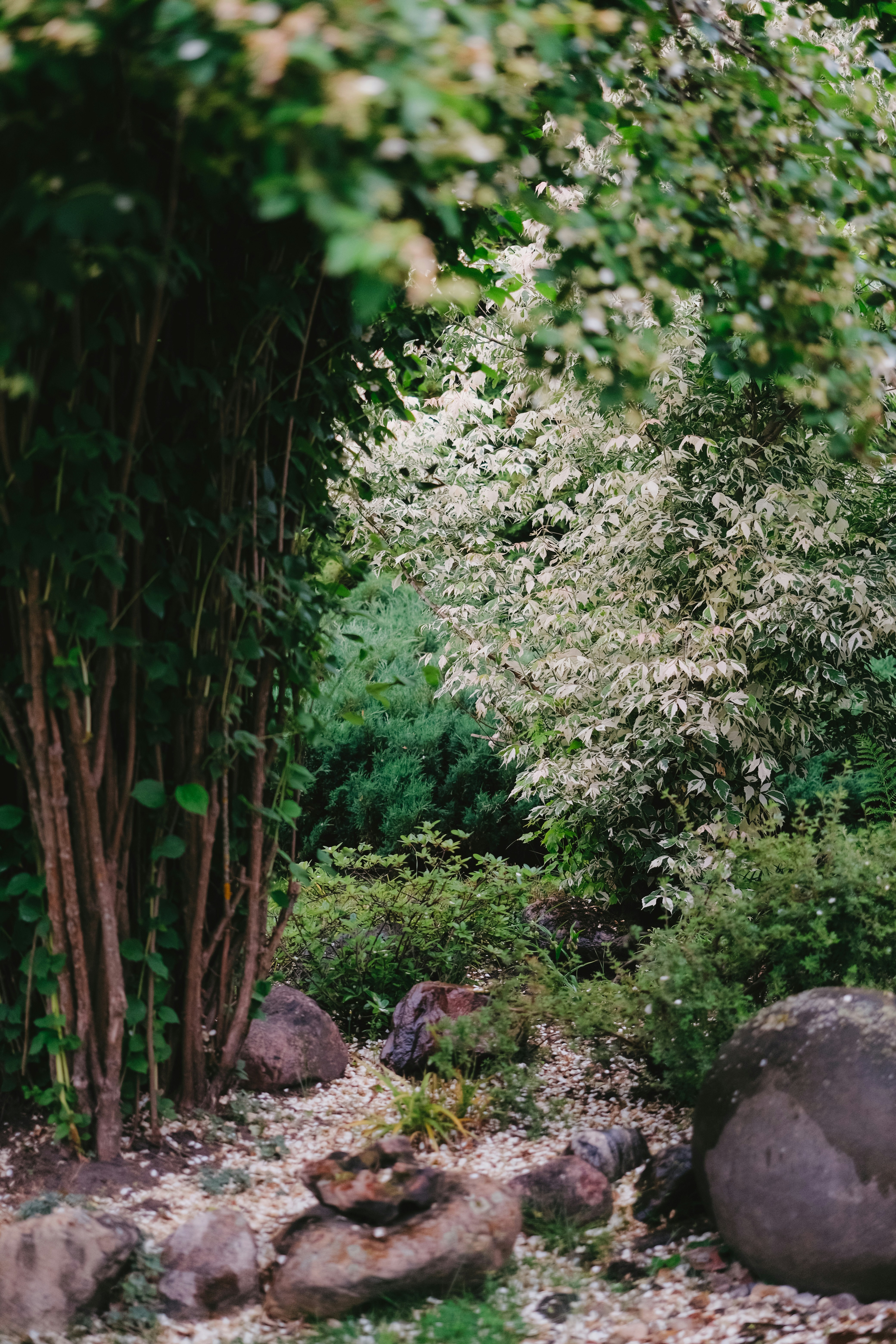 Photo by Dmitrii Rogov with Fujifilm X-T3