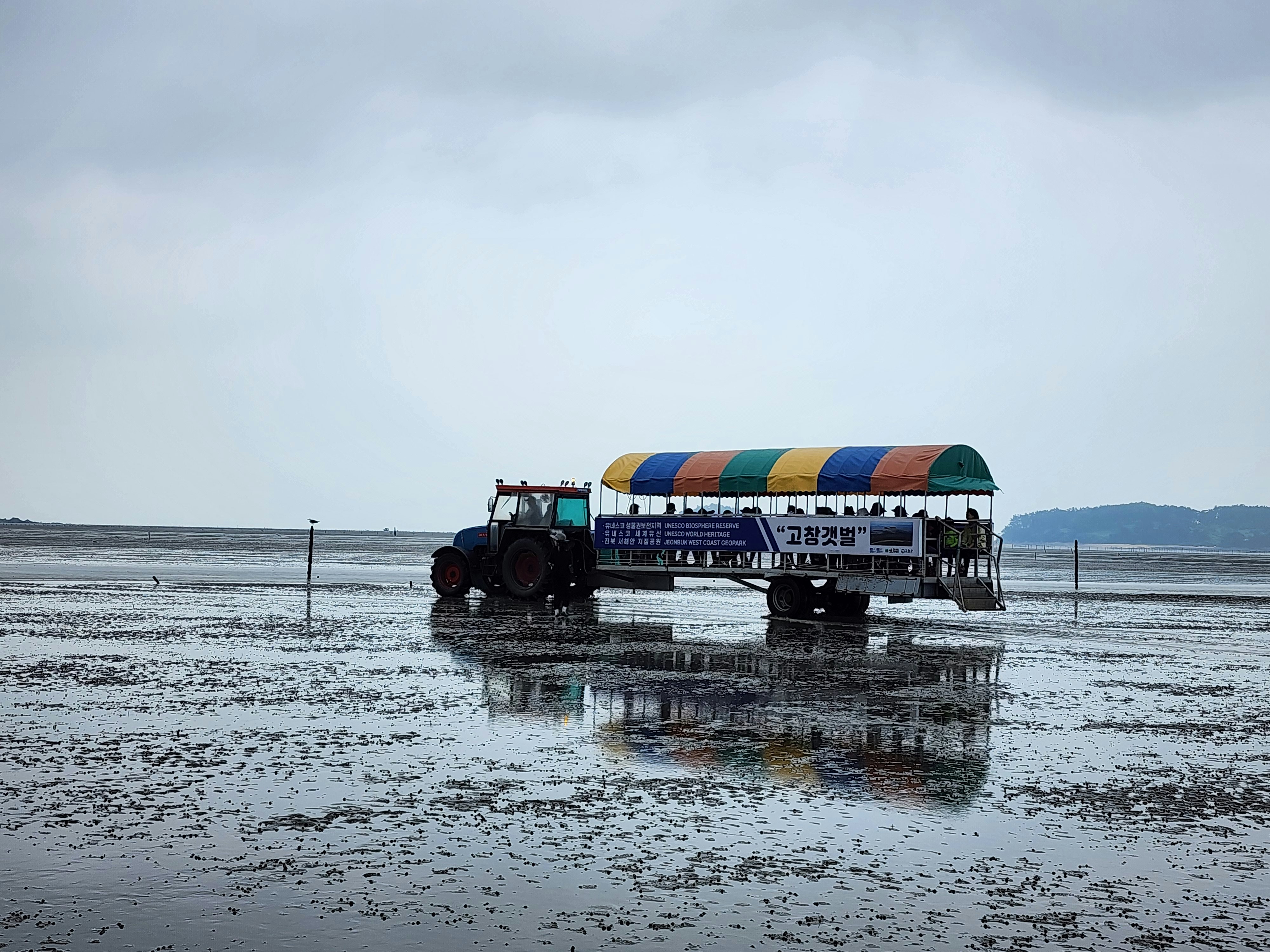 Rainbow-Canopy Convoy Crossing a Mudflat at Low Tide