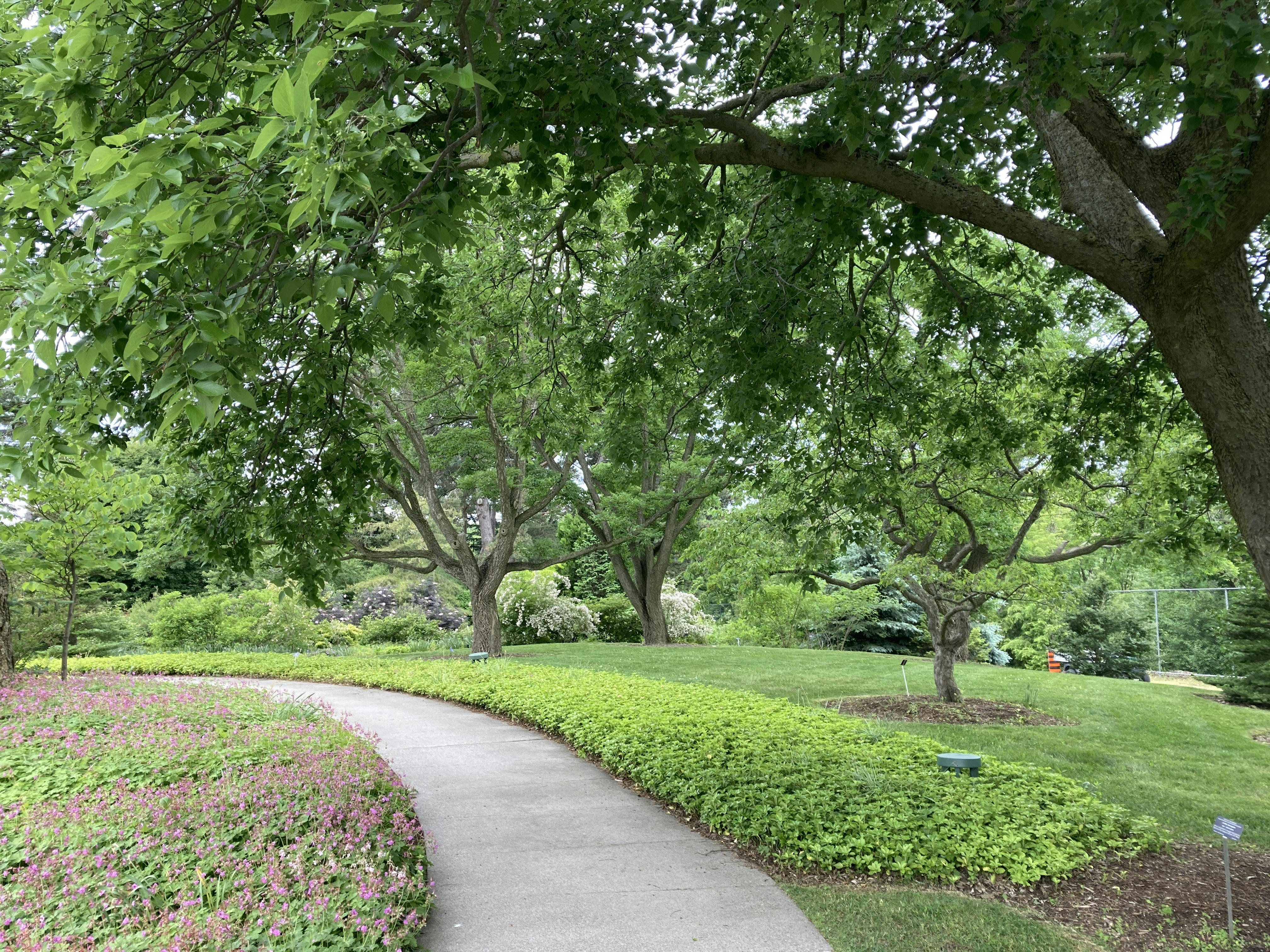 A path through a lush green park surrounded by trees photo – Free ...