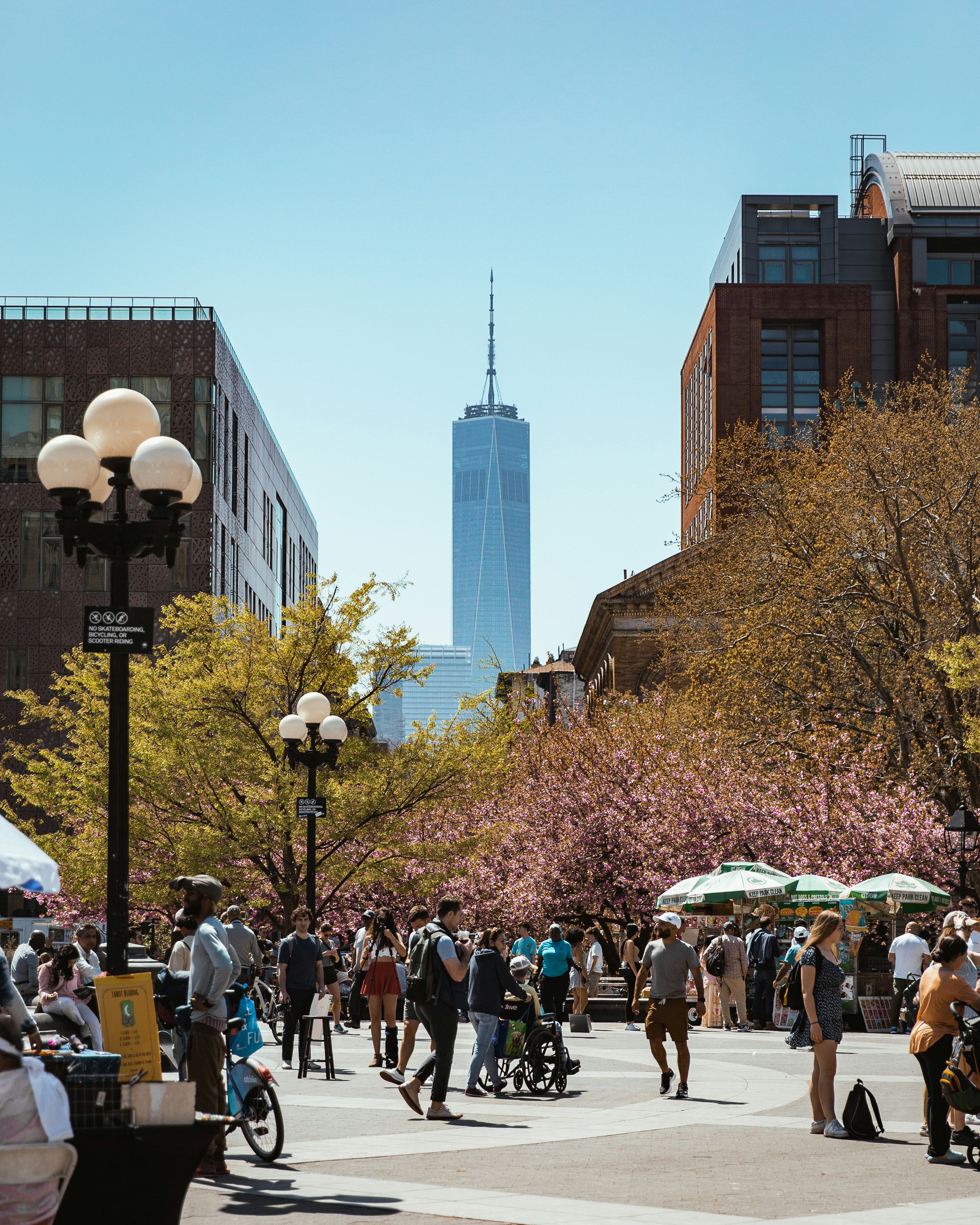 City bloom: pedestrians and blossoms frame One World