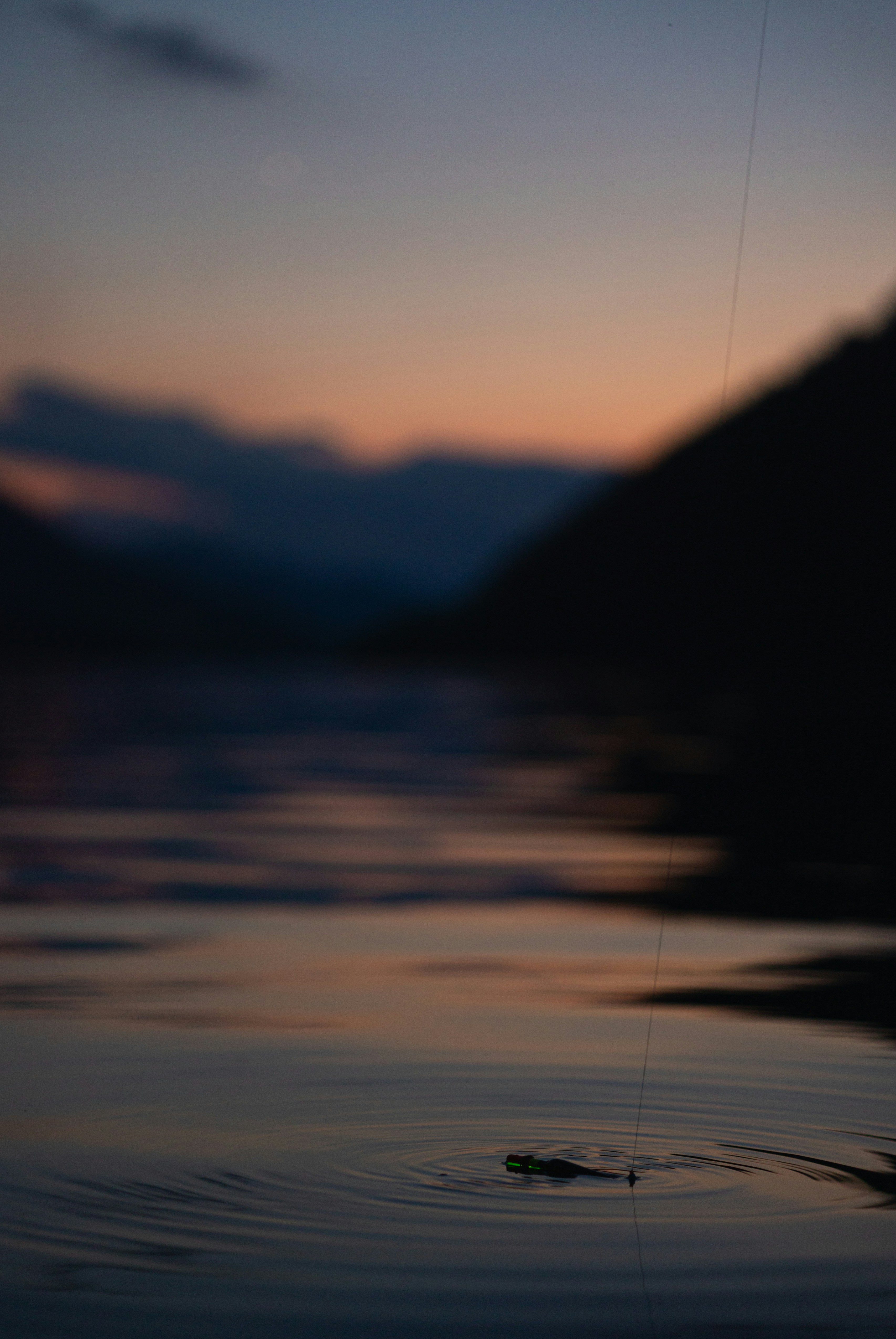 Dusk Lake: A Tiny Green Beacon on Quiet Waters