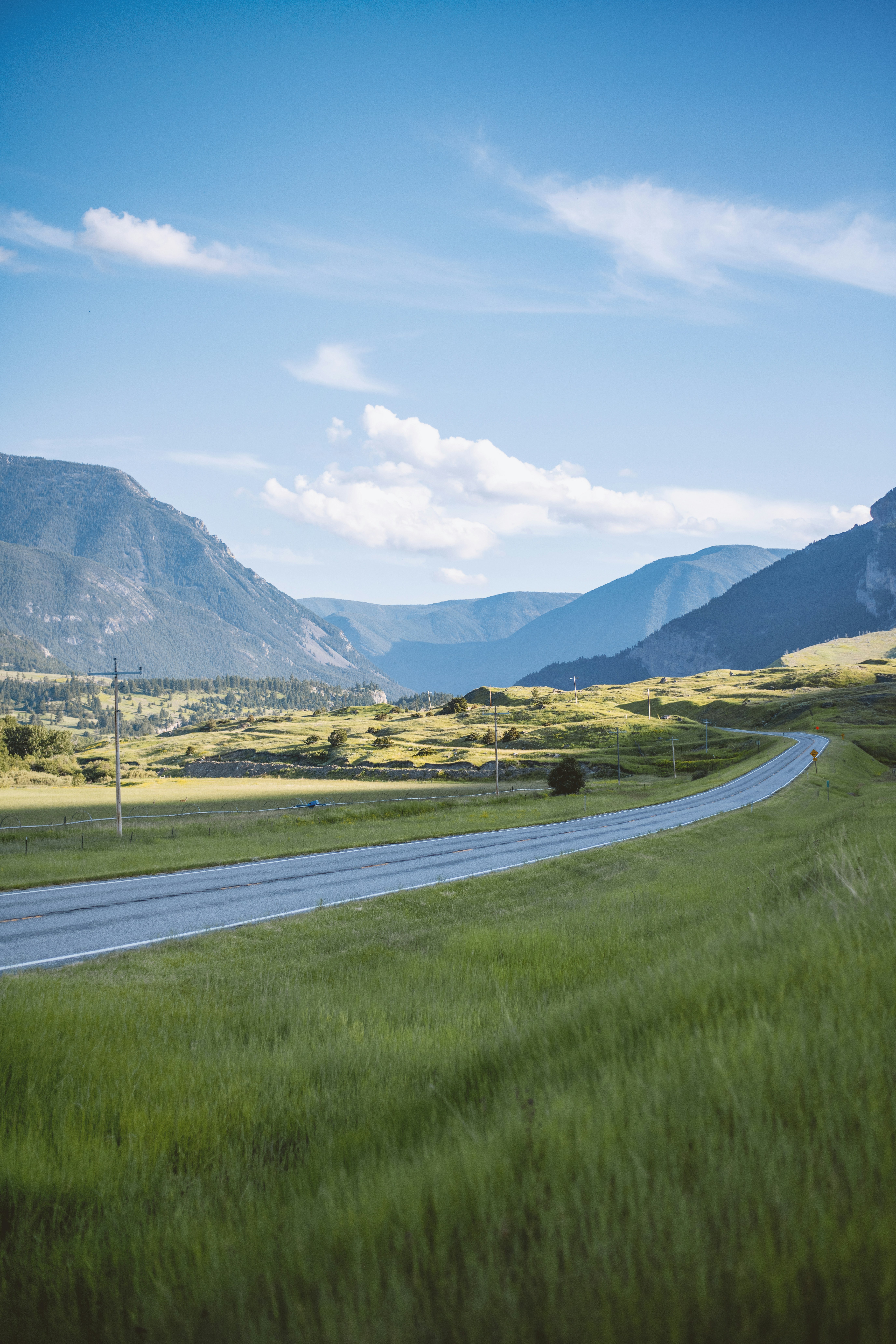 Verdant Ribbon to the Ridge: A Road Traverses the Valley’s Quiet Horizon