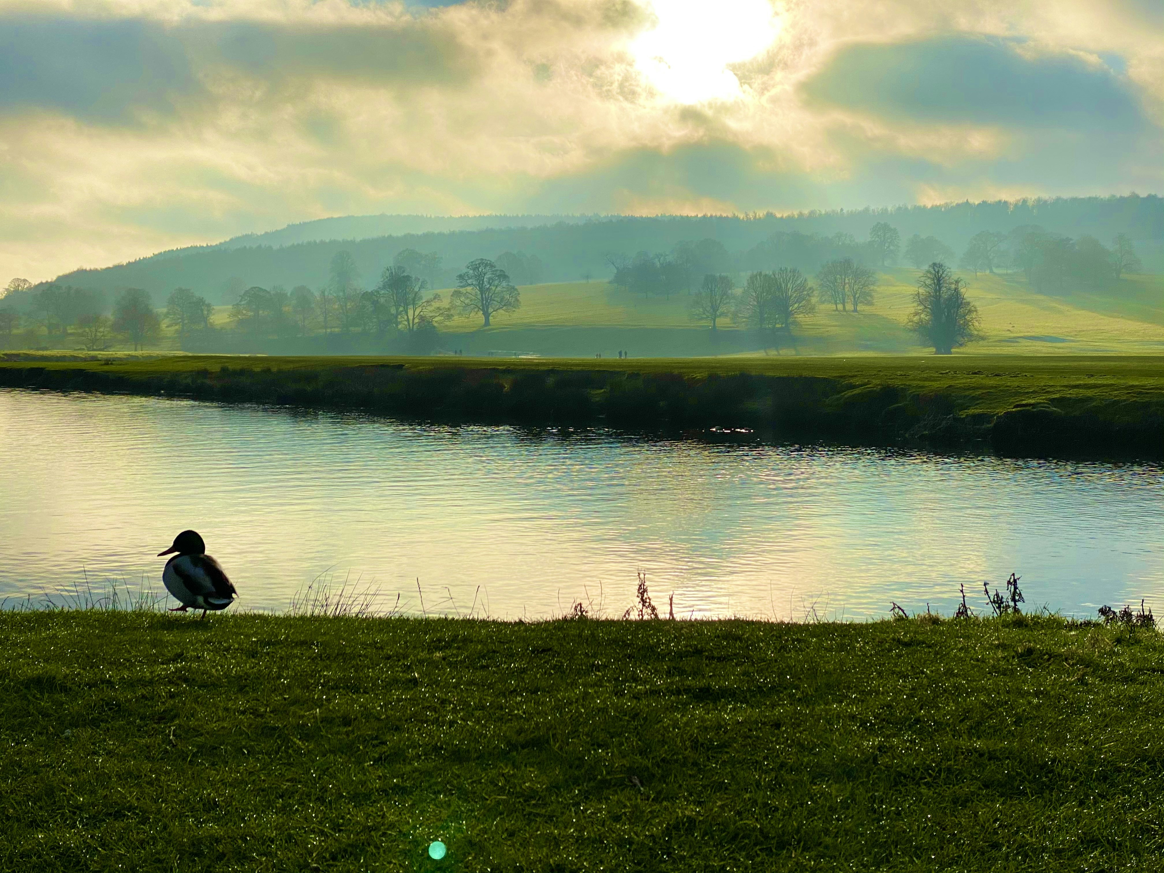 Distant Hills and Quiet Lake: A Lone Bird at Dusk