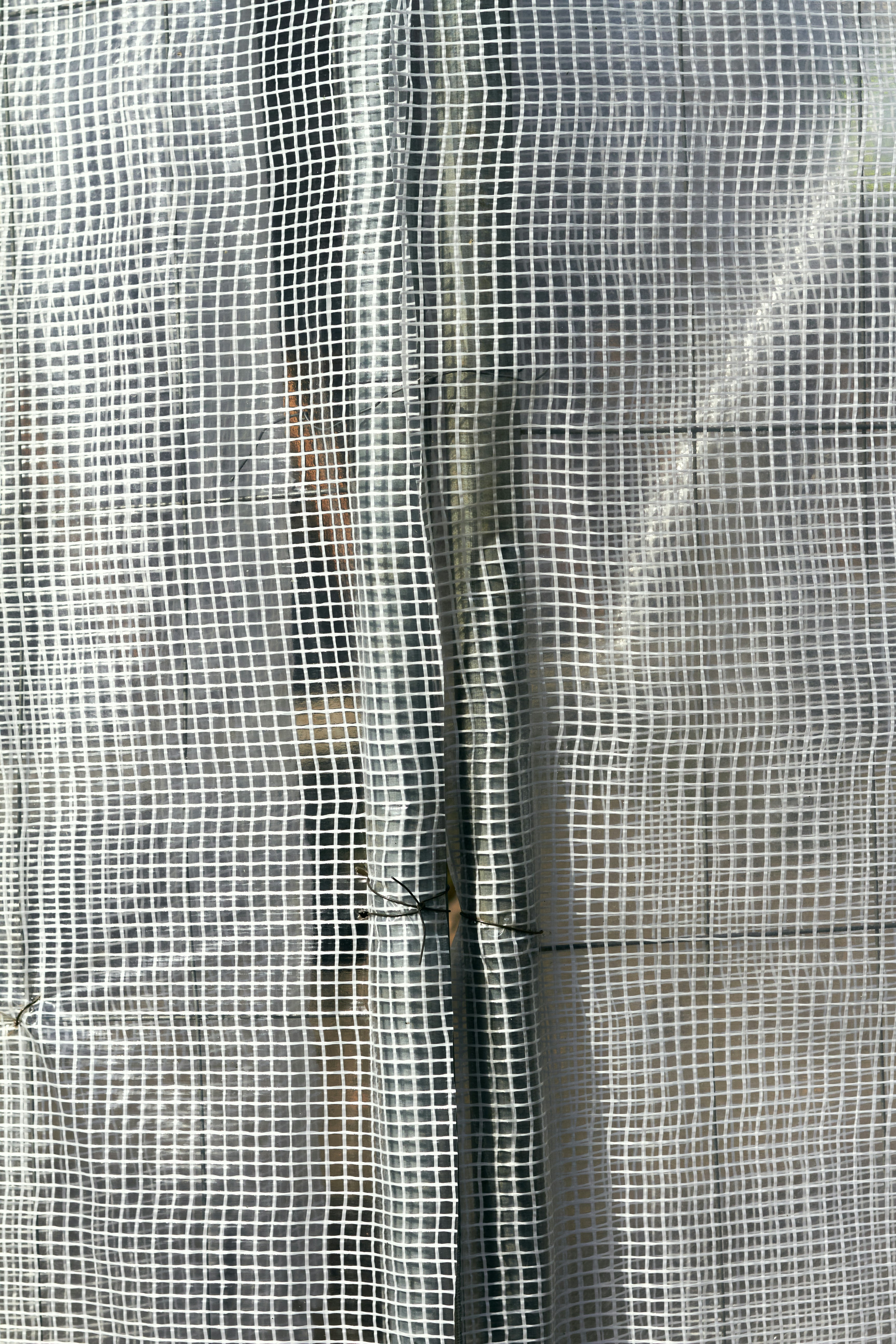 Mesh Veil Close-Up: The Quiet Geometry of Light and Grid