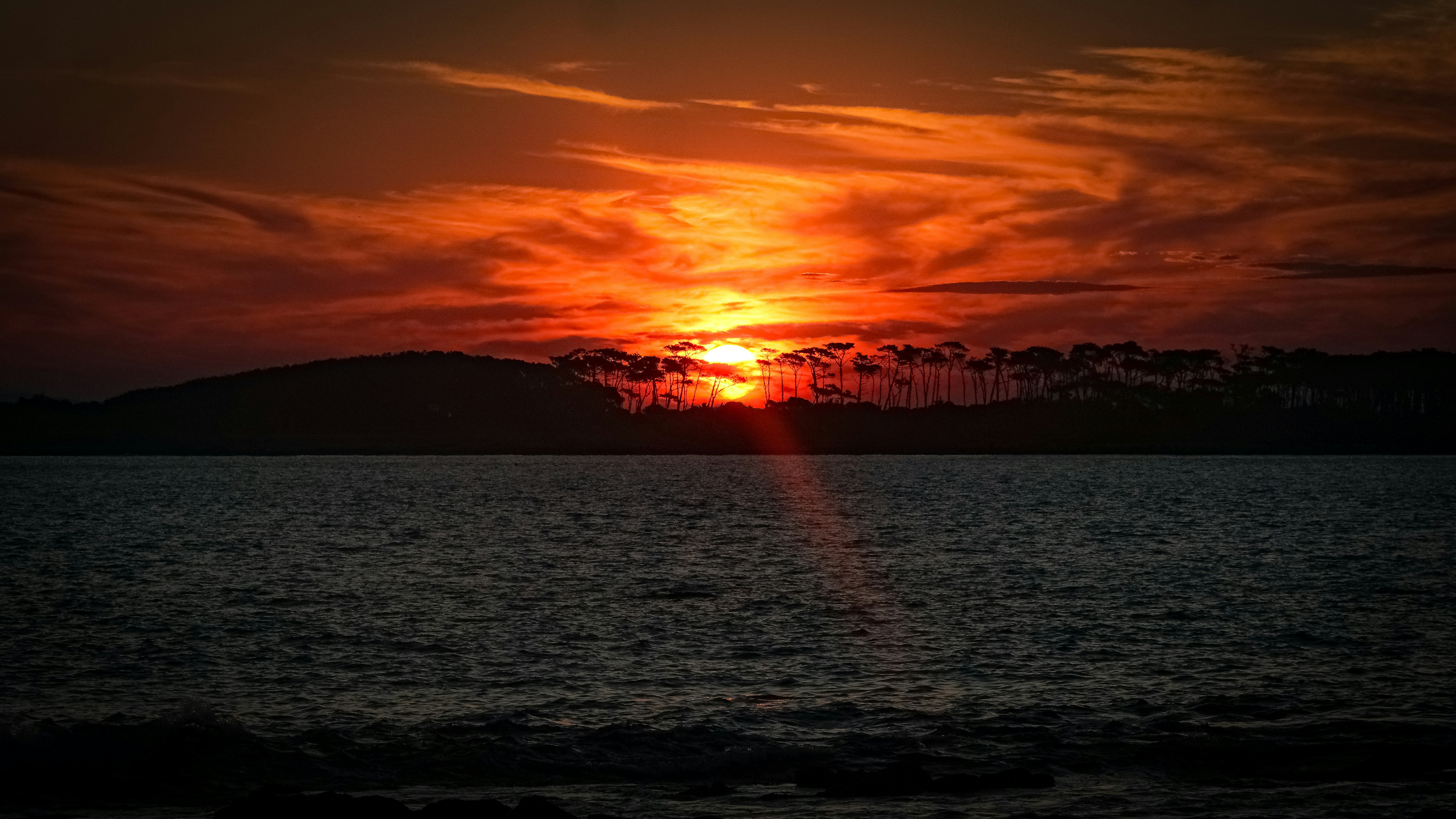 sunset among the island's trees