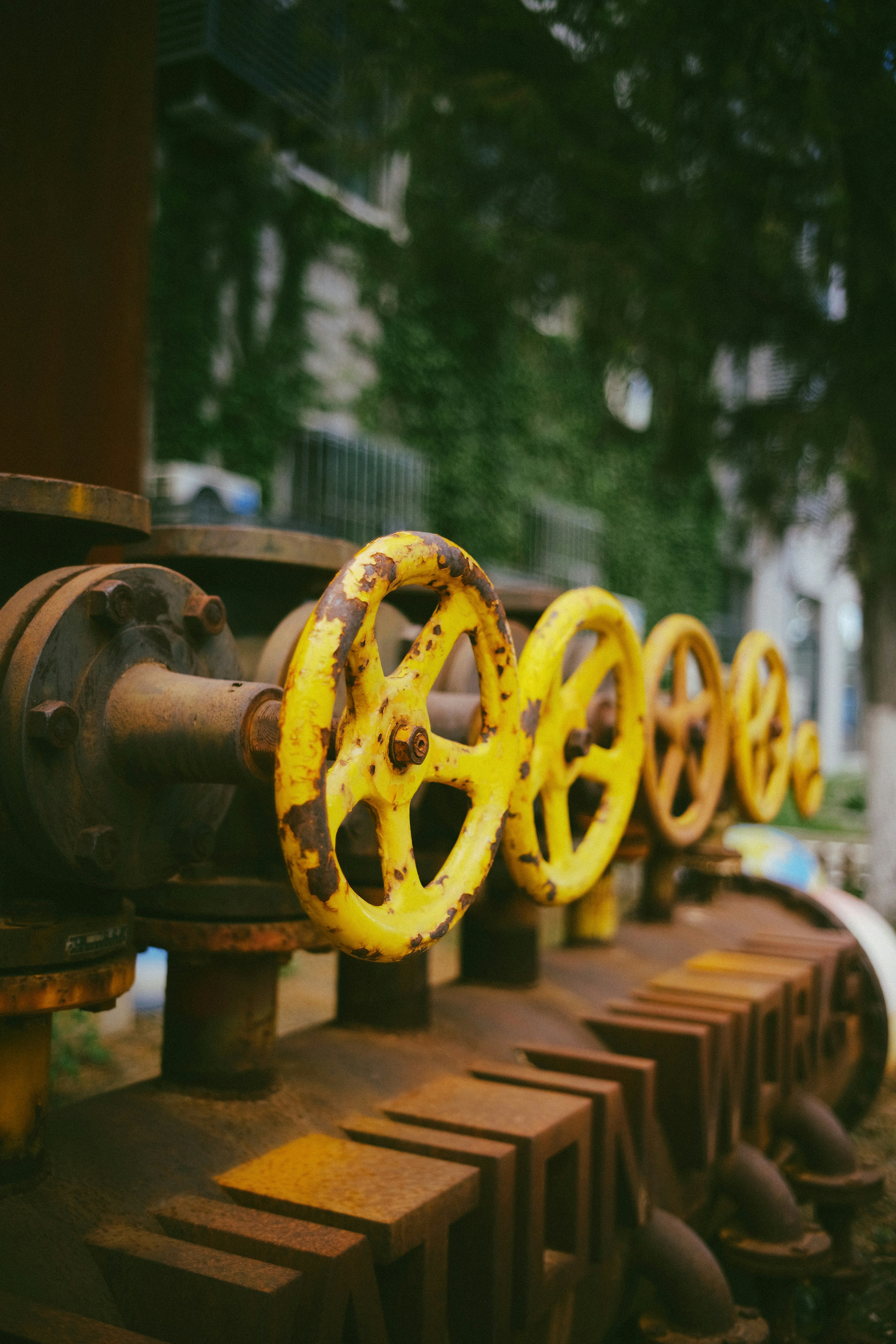 Yellow Valve Wheels in a Row: Rust and Repetition