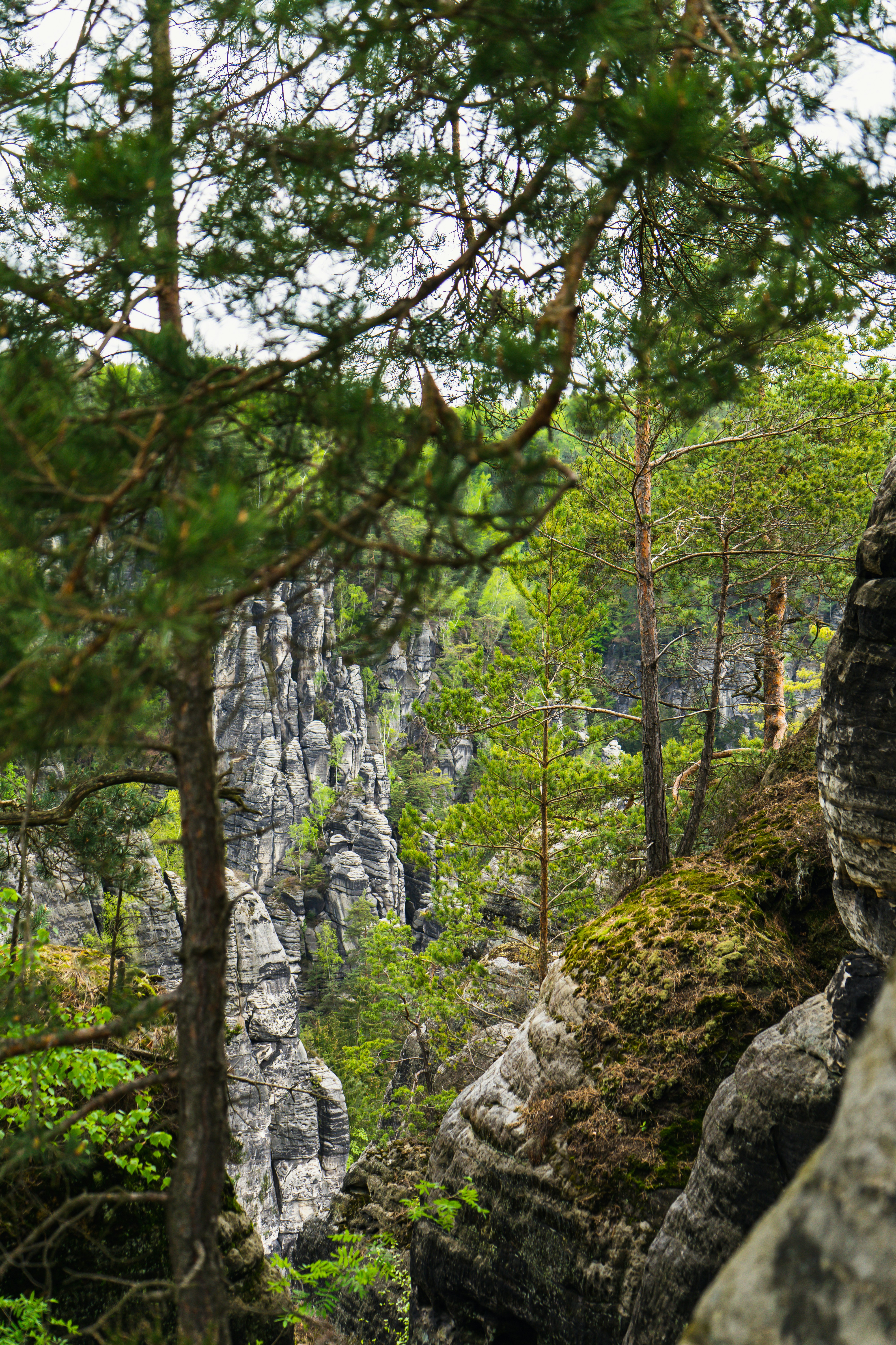 Photo by Matt Mutlu with Sony Alpha 7 II