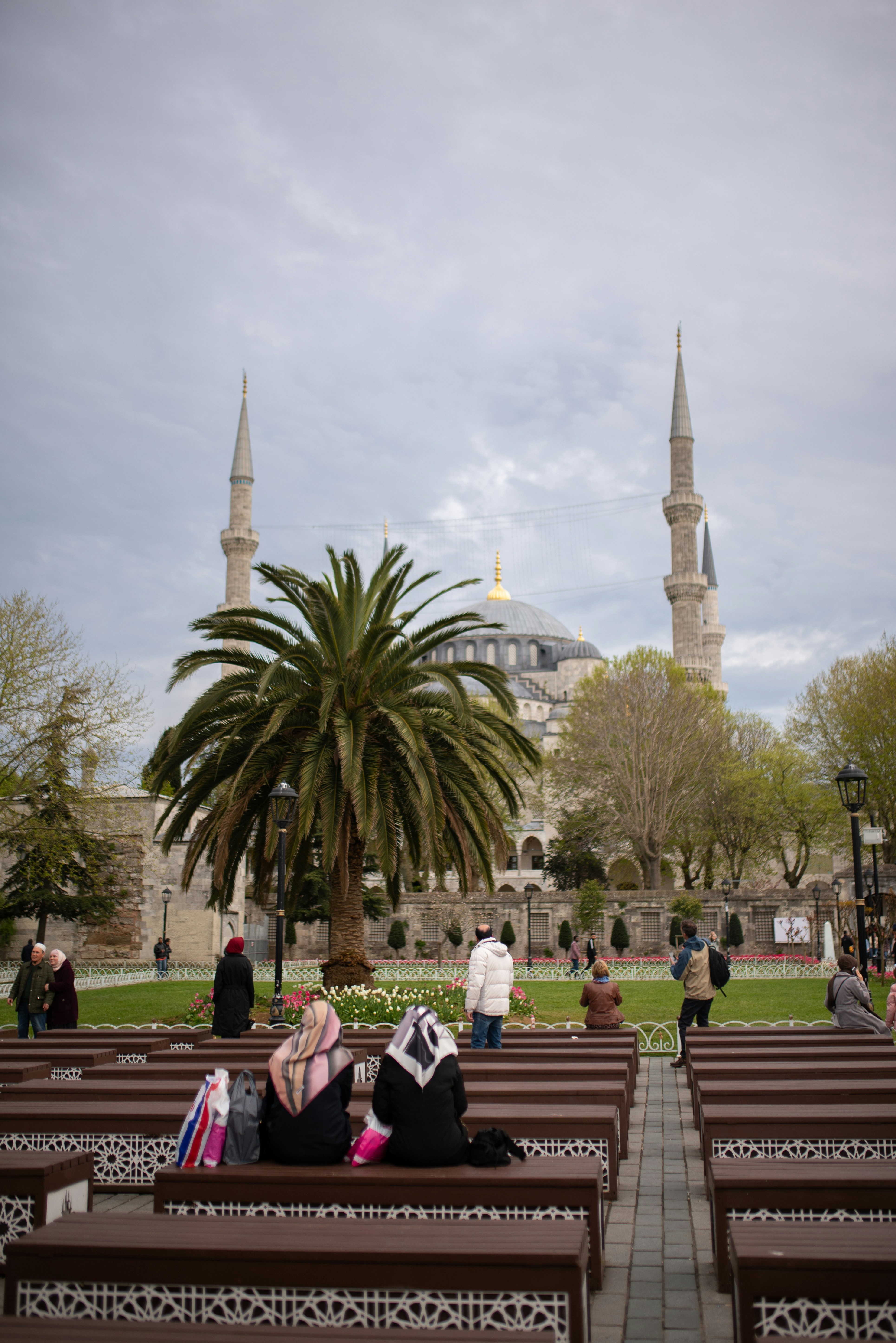Palm-Centered Vista: Benches, Minarets, and a Historic Mosque