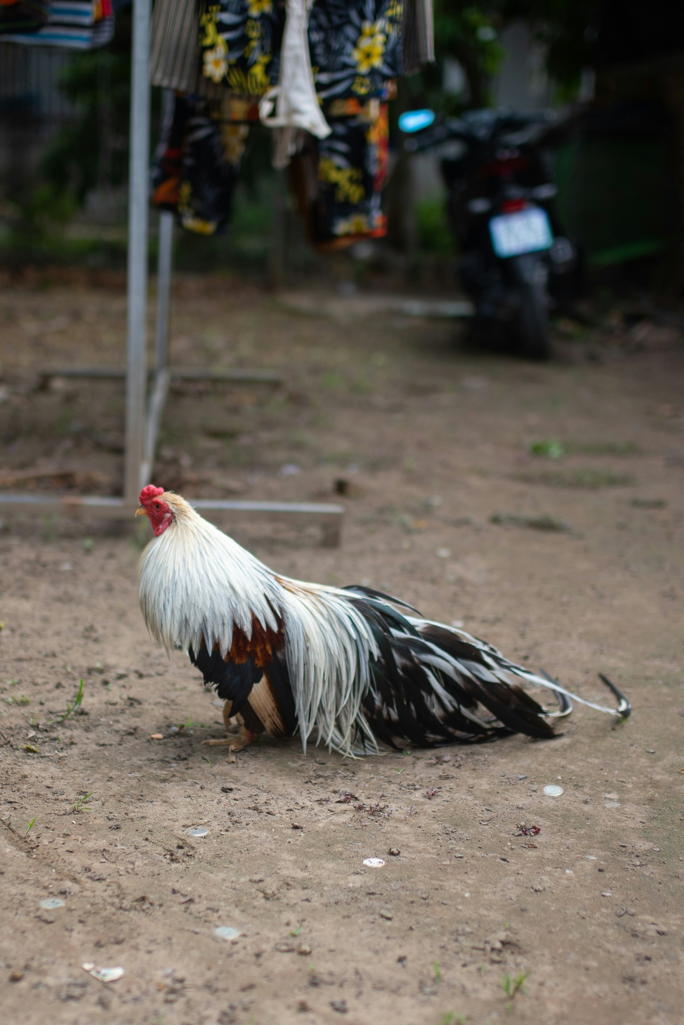 Photo by Monika Guzikowska with Nikon D750