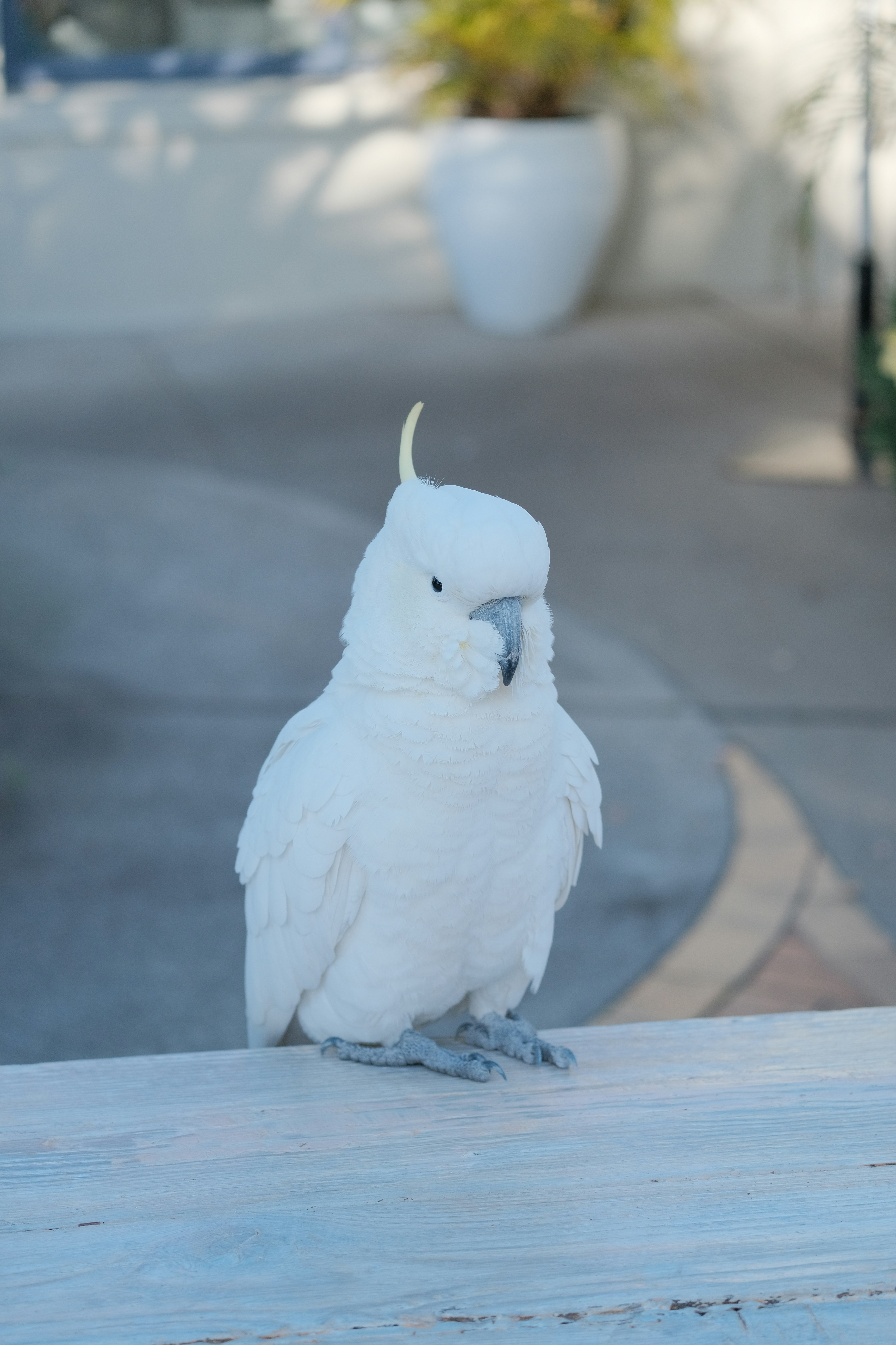 Photo by Duoduo Liu with Fujifilm X-T30