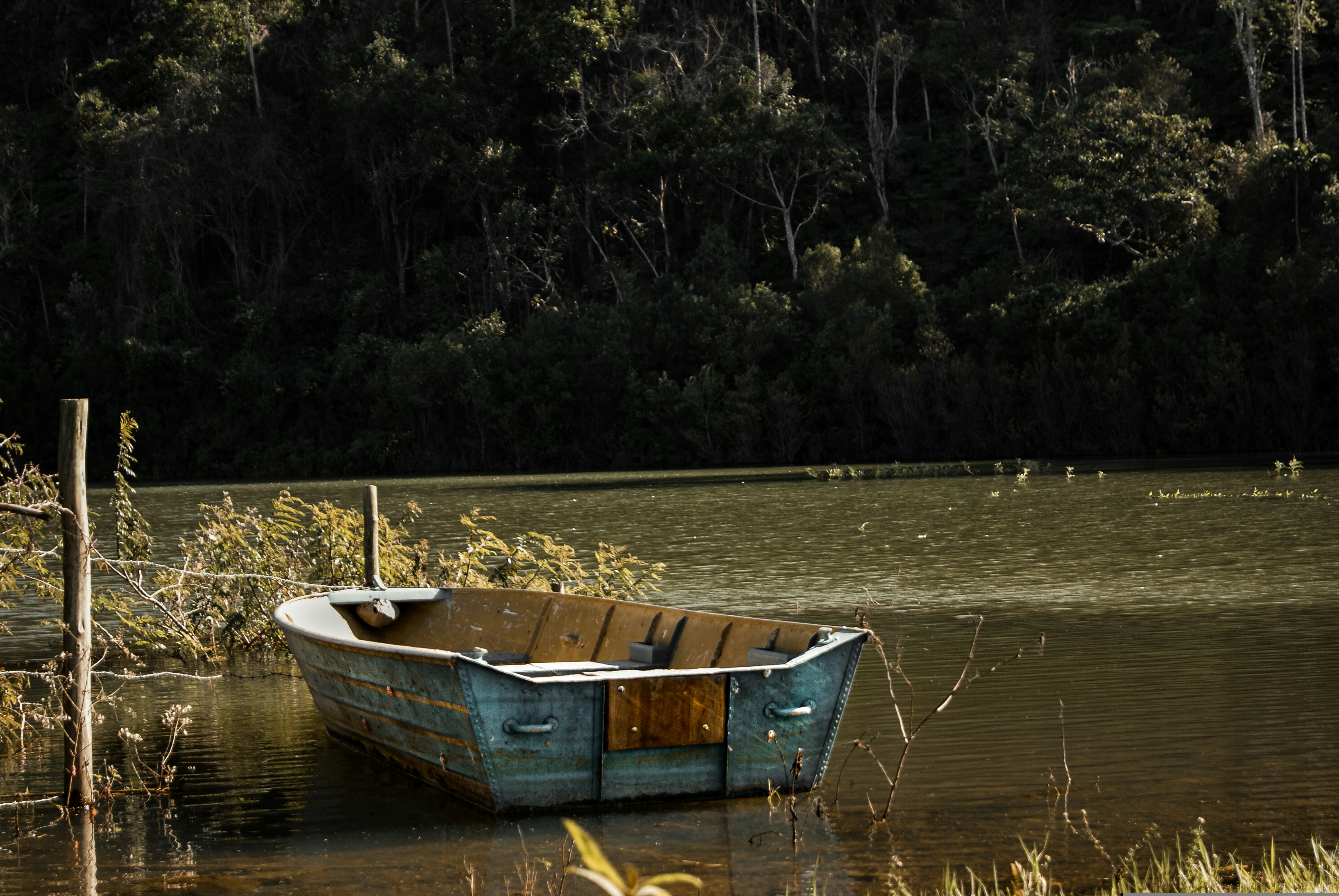 A photograph of a blue rowboat resting in shallow water at the edge of a shadowed, forested shoreline. The scene emphasizes stillness and subdued light.