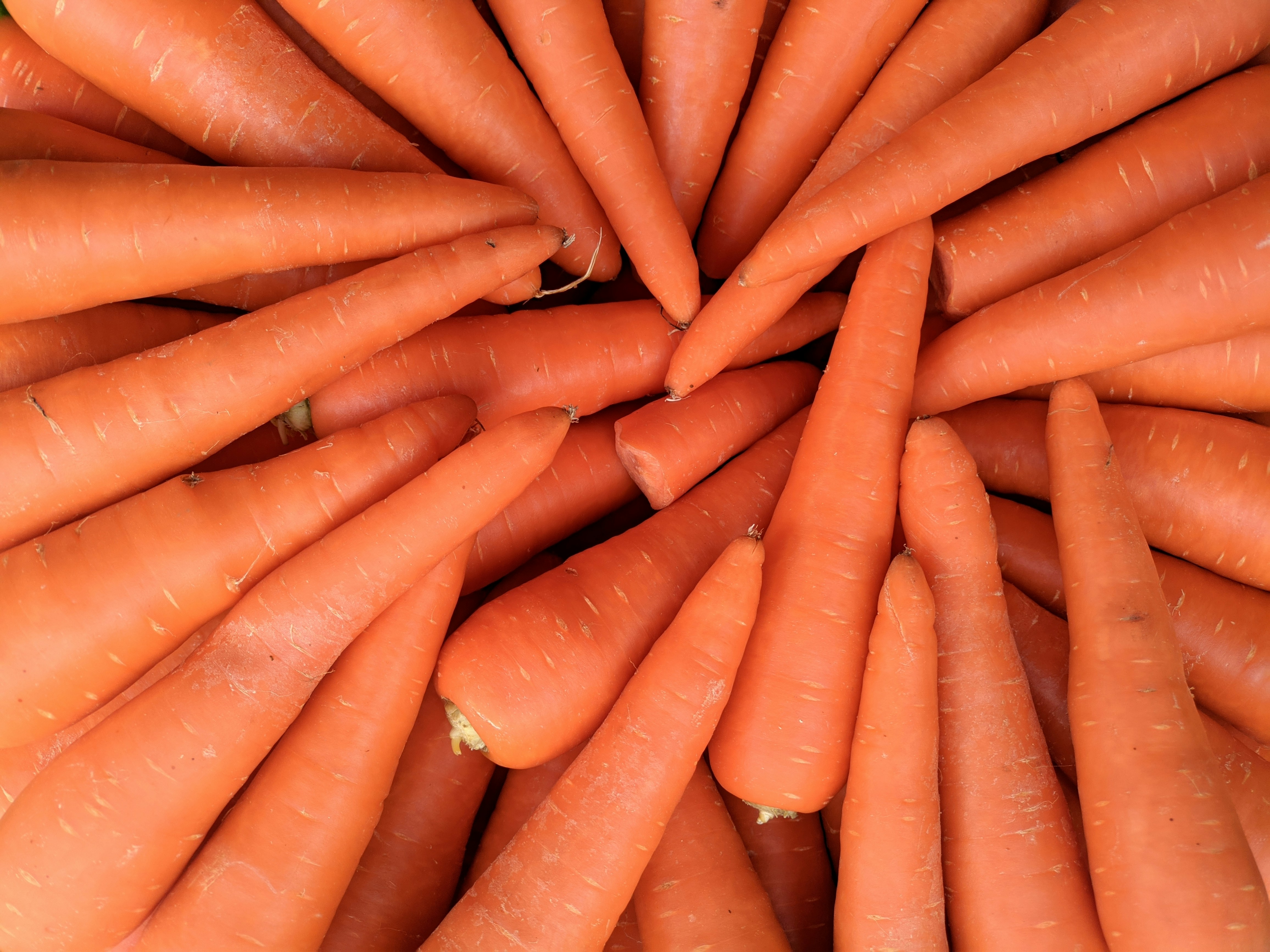 Close-up of neatly arranged fresh carrots forming a circular pattern.