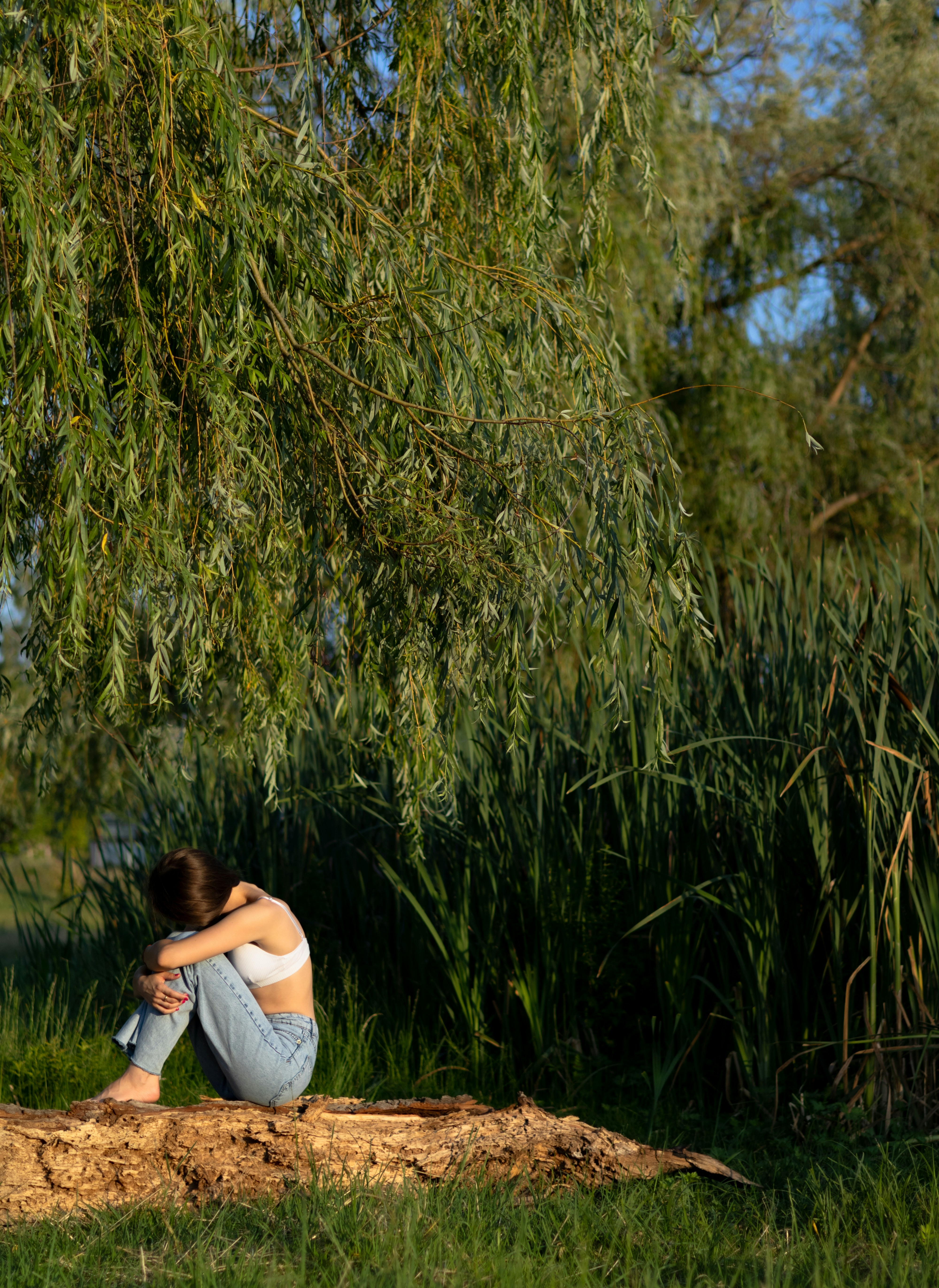 A woman sitting on a log under a tree photo – Free Ukraine Image on ...