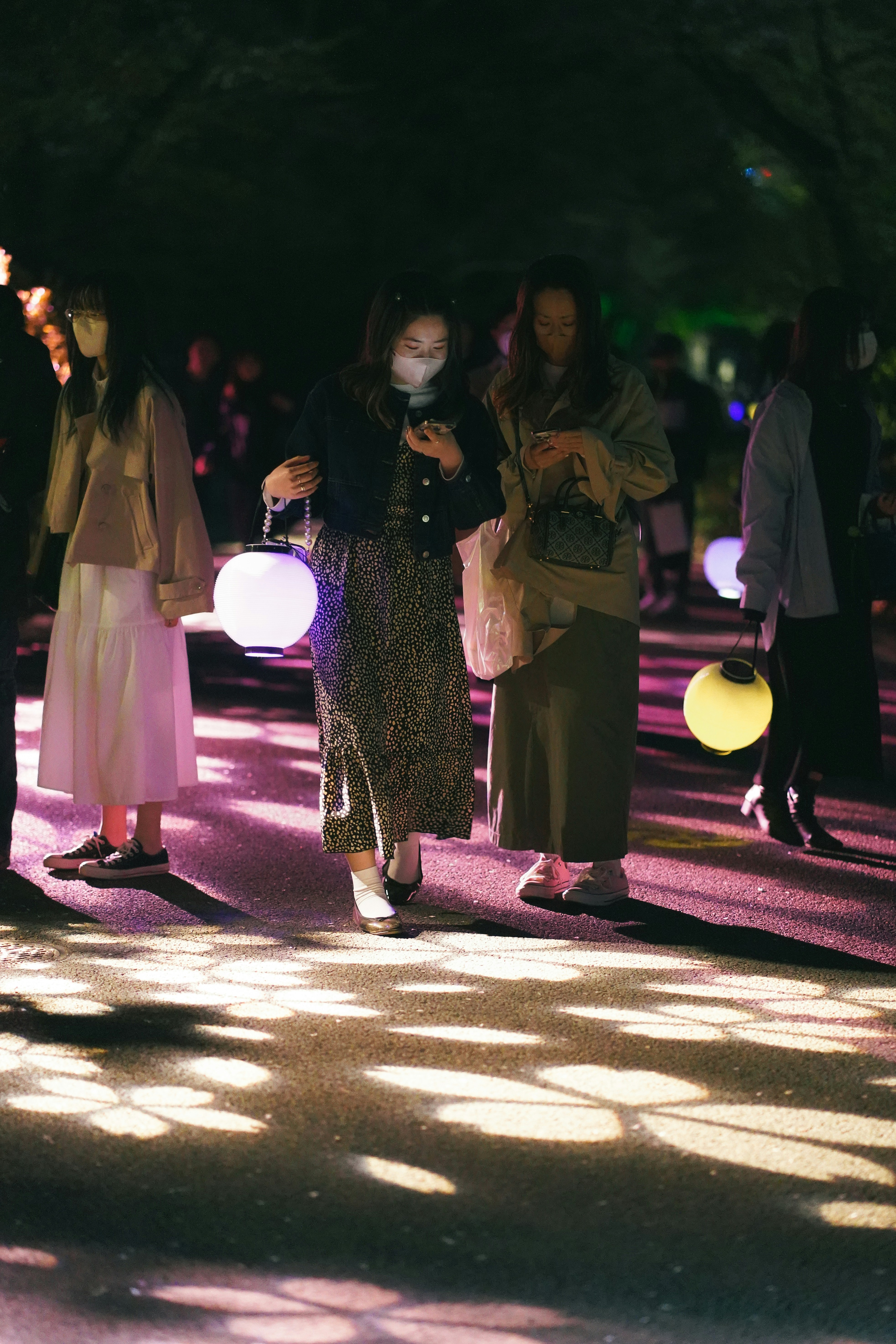 People taking photos of pink sakura lighting cast on the ground at a park