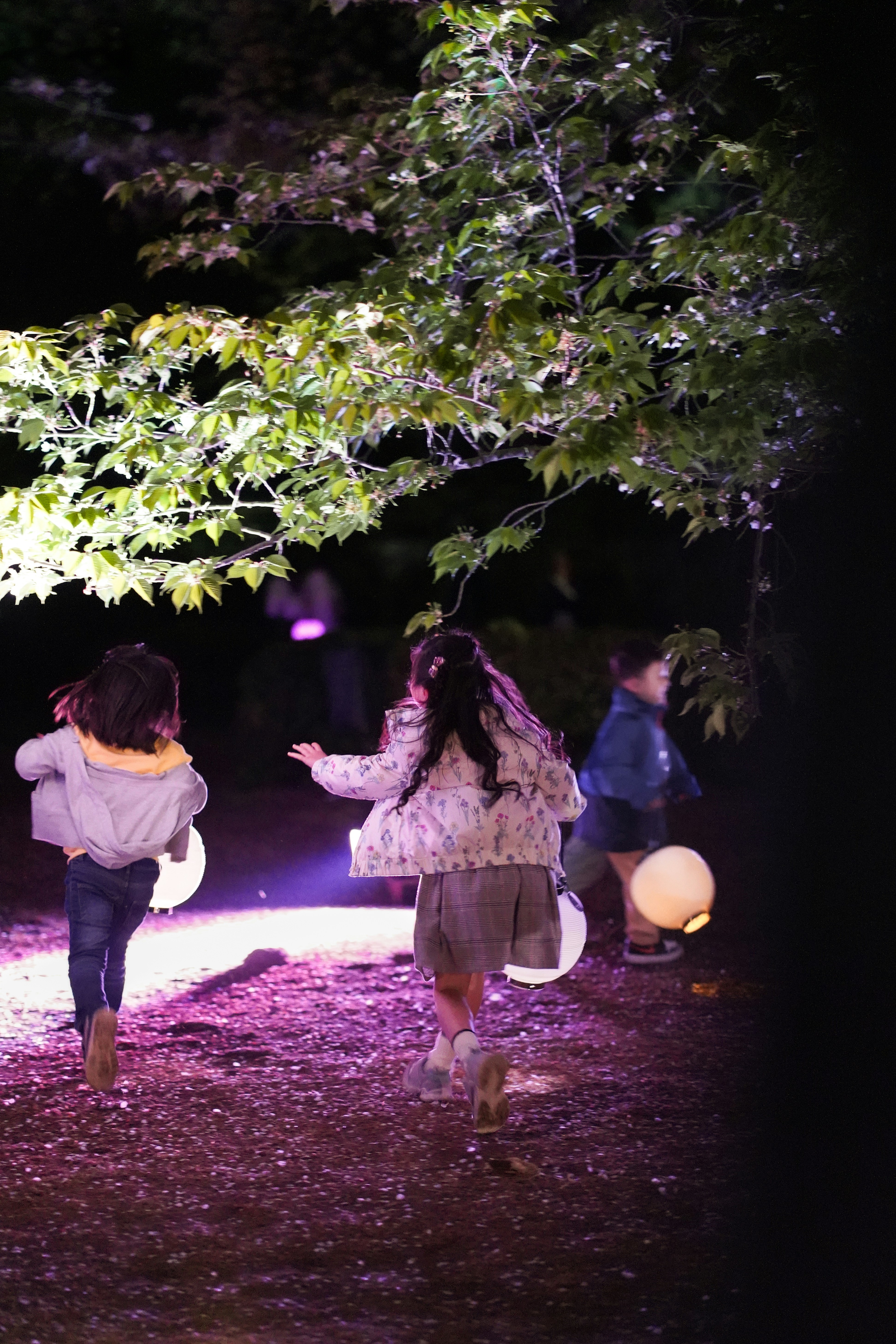 Lantern Path: Children's Night Run Under a Leafy Canopy
