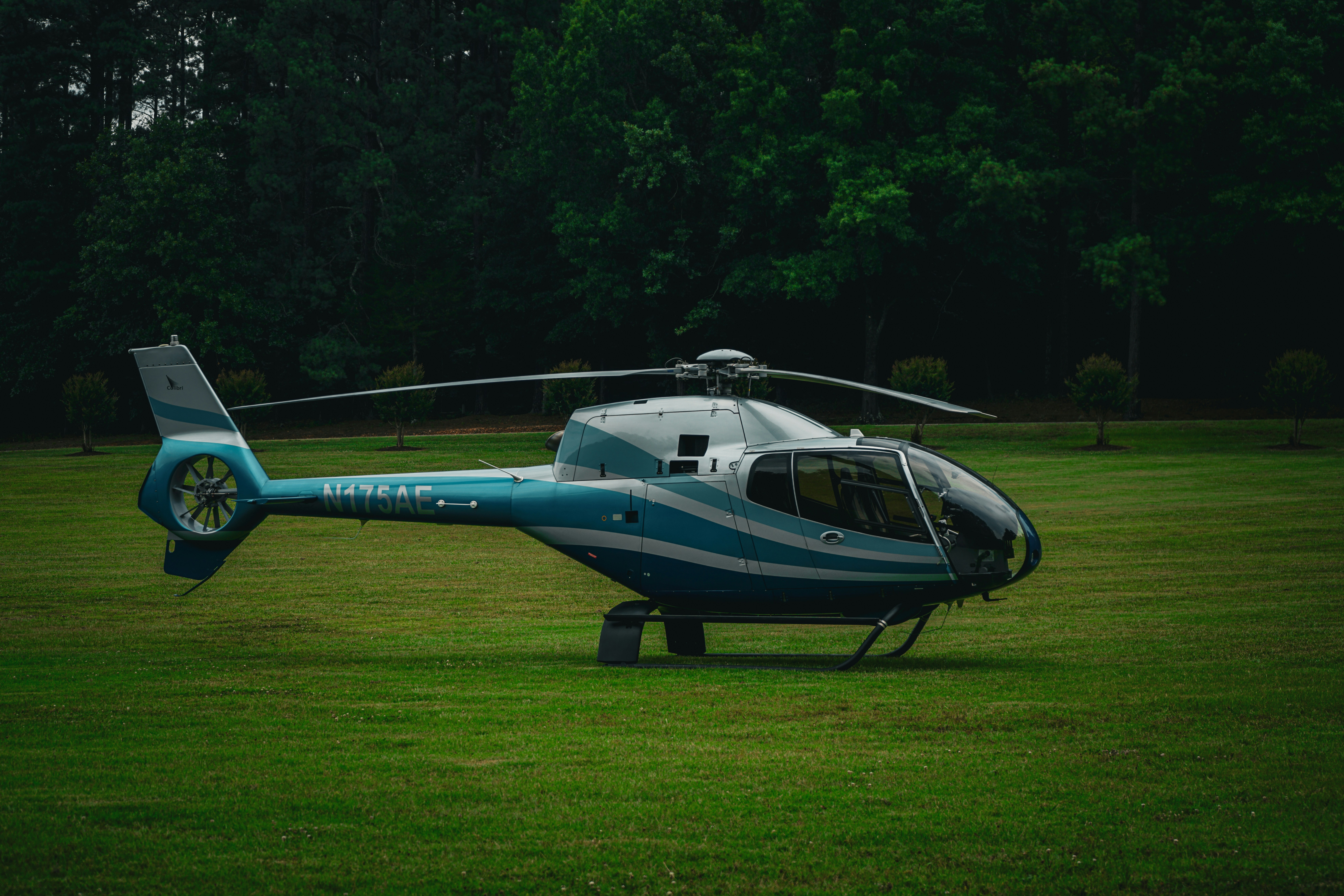 Azure Helix on the Meadow: A Helicopter Quietly Resting by the Forest