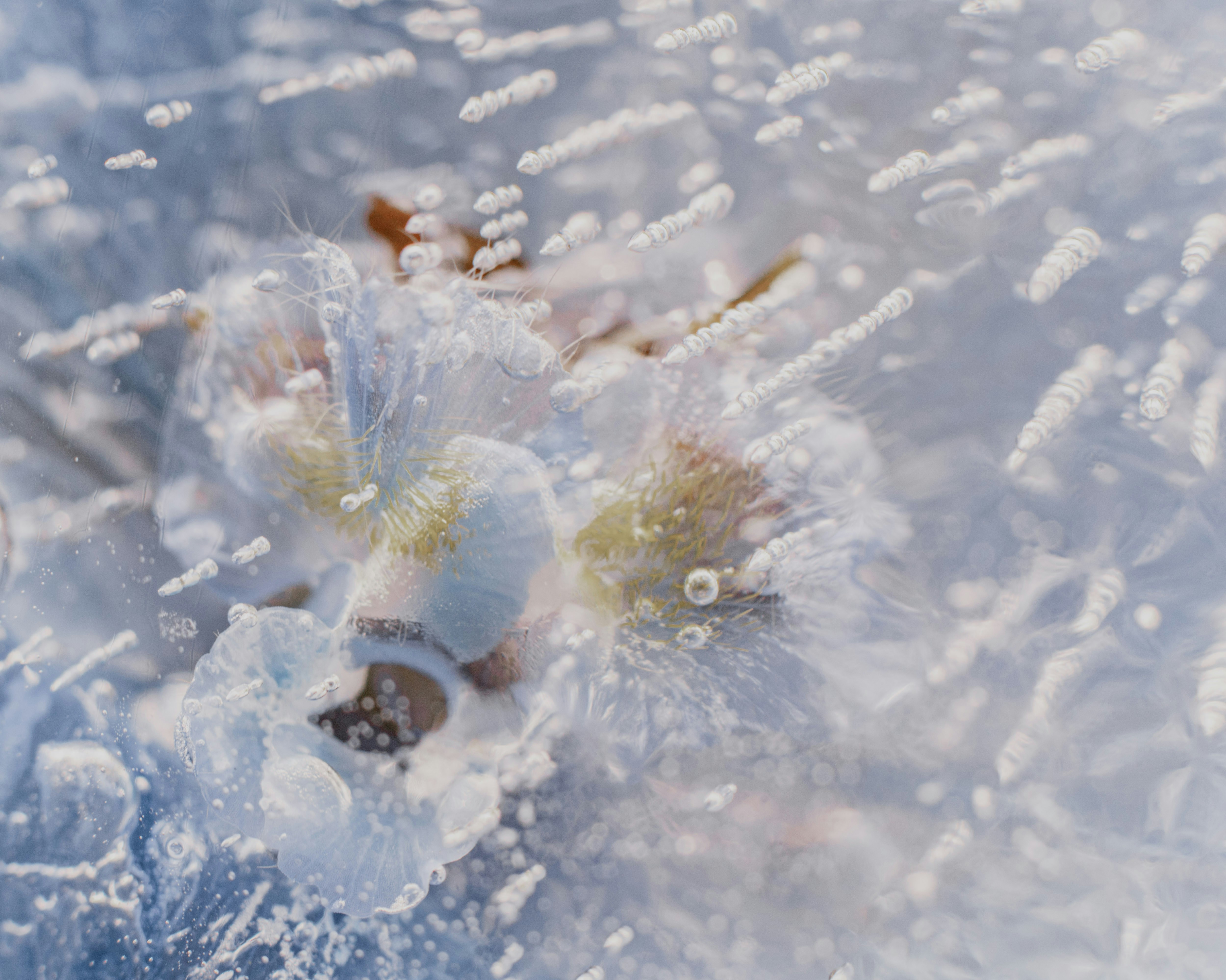 Jason D (@jasondeblooisphotography) | Unsplashフォトコミュニティ