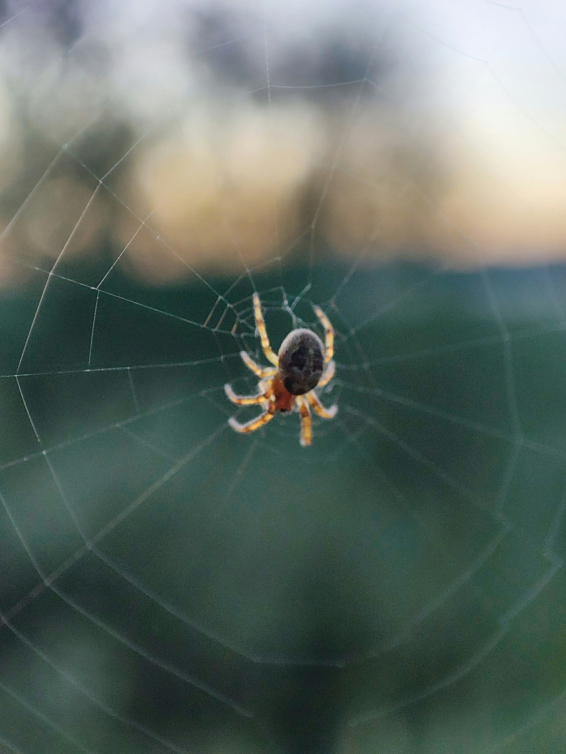 What is Emphasis in Photography and How to Use it to Your Advantage ...