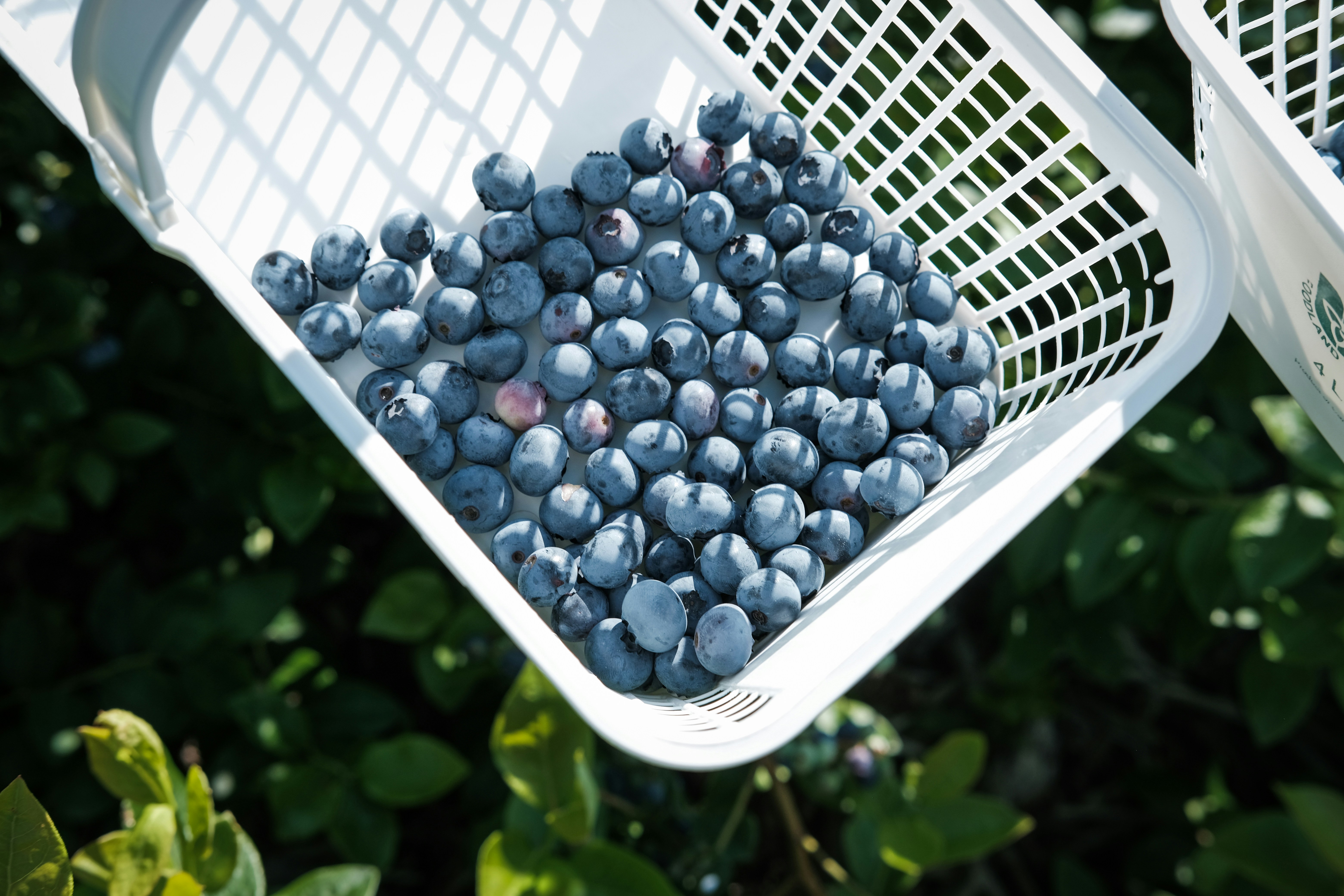 Photo by Lennon Kong with Fujifilm X-T30