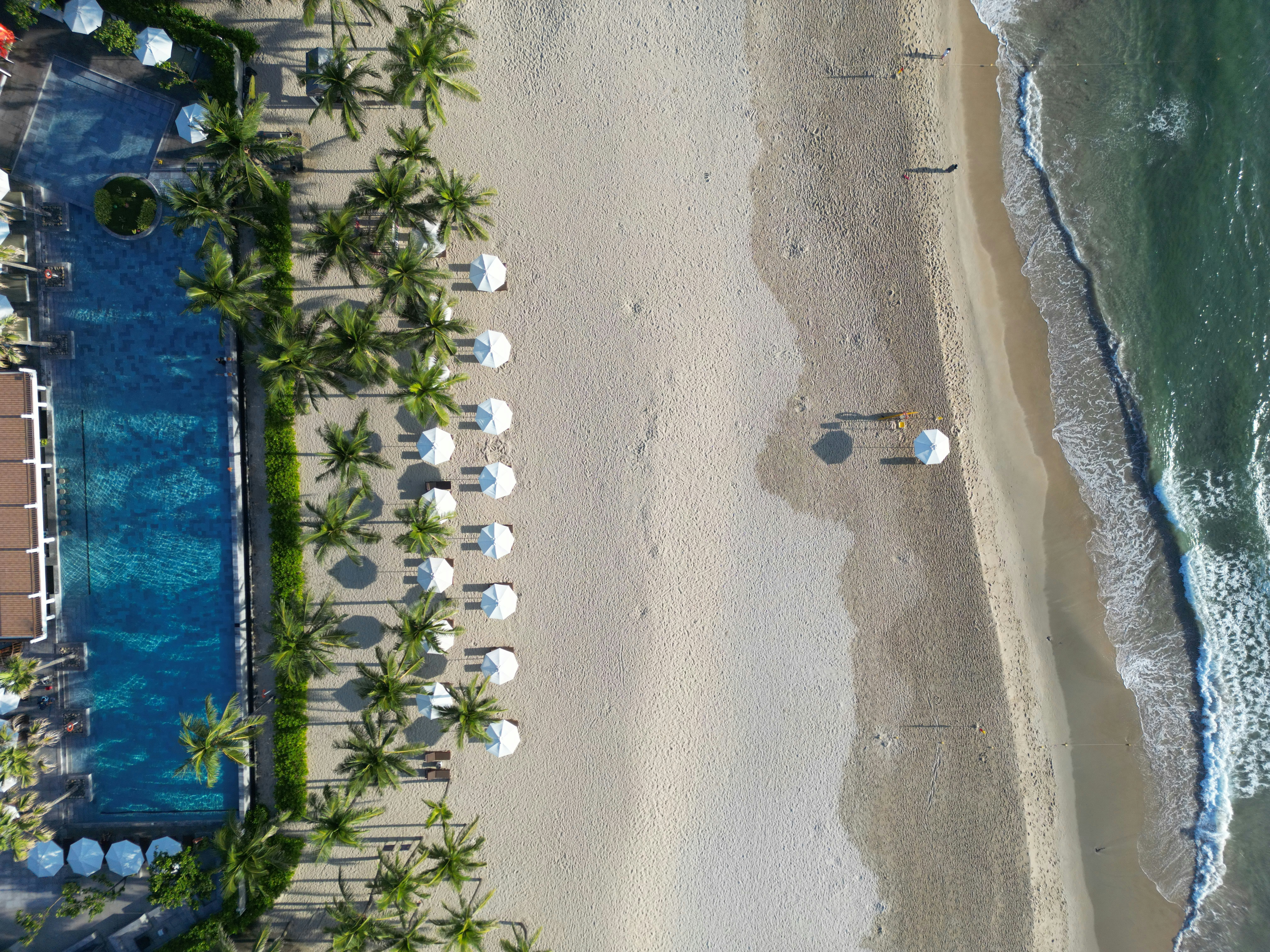 An aerial view of a beach with chairs and umbrellas photo – Free Beach ...