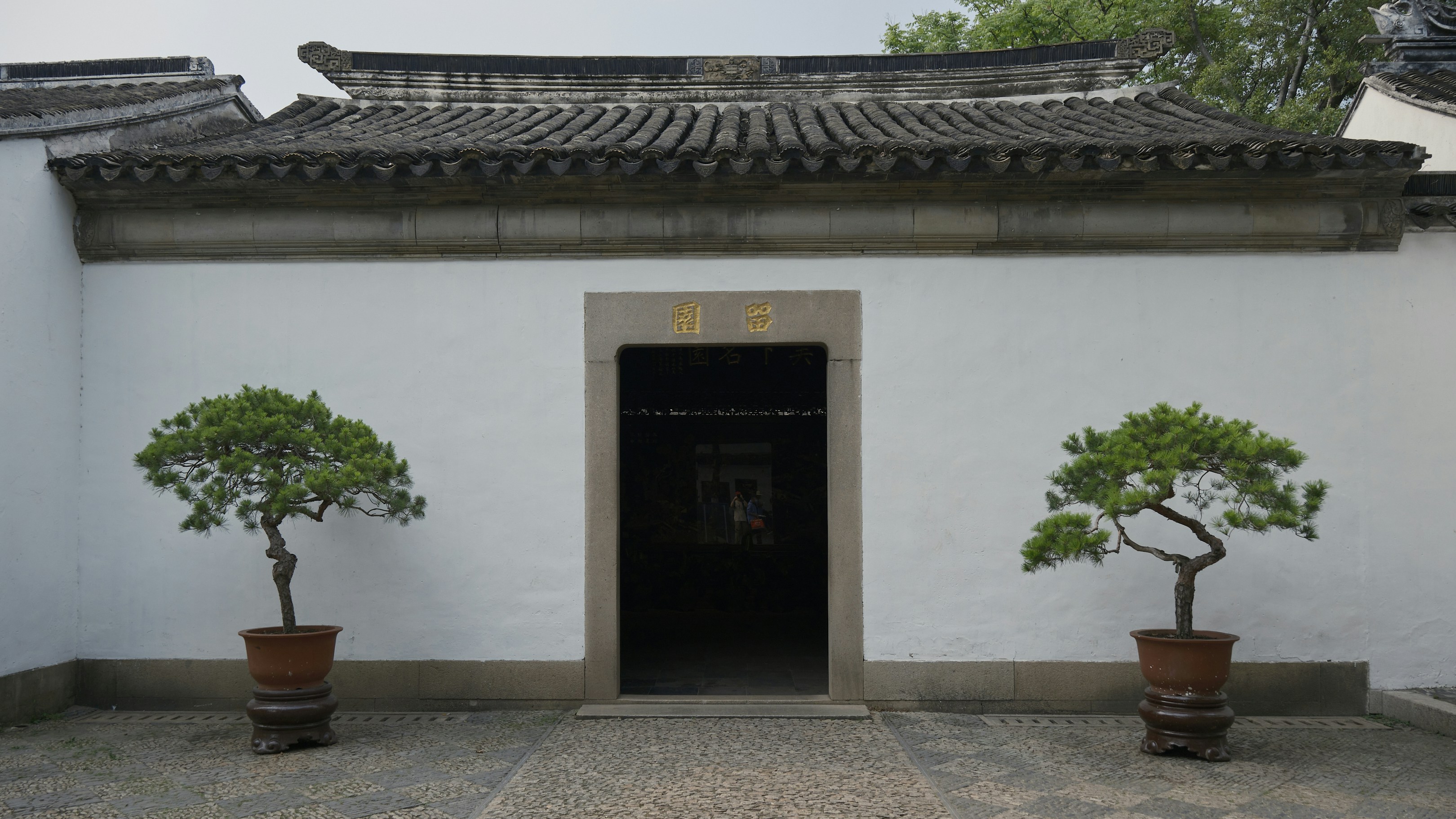 Centered Portal: White Wall Gateway Framed by Bonsai in a Tranquil Courtyard