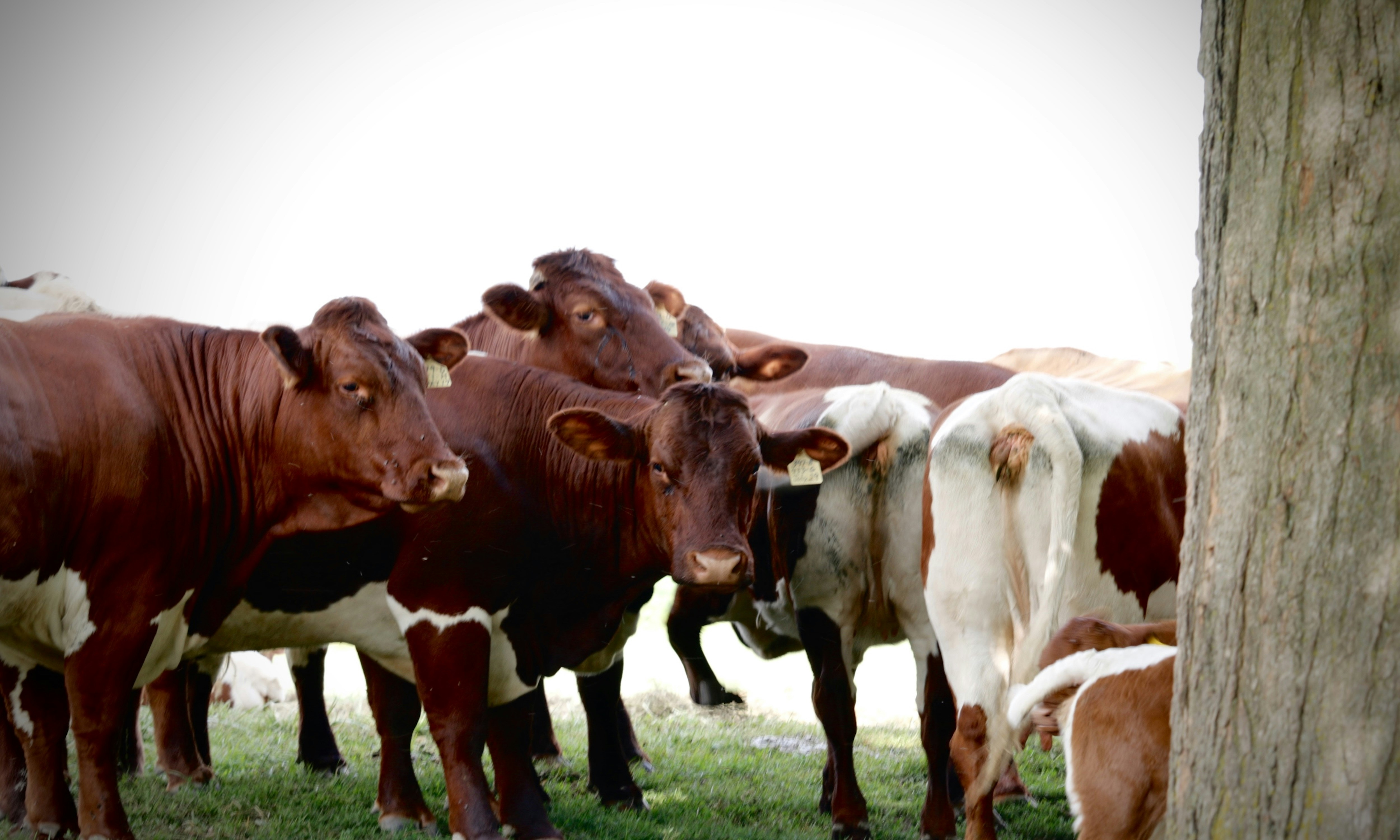 Photo by Sarah Cheung with Canon EOS 70D