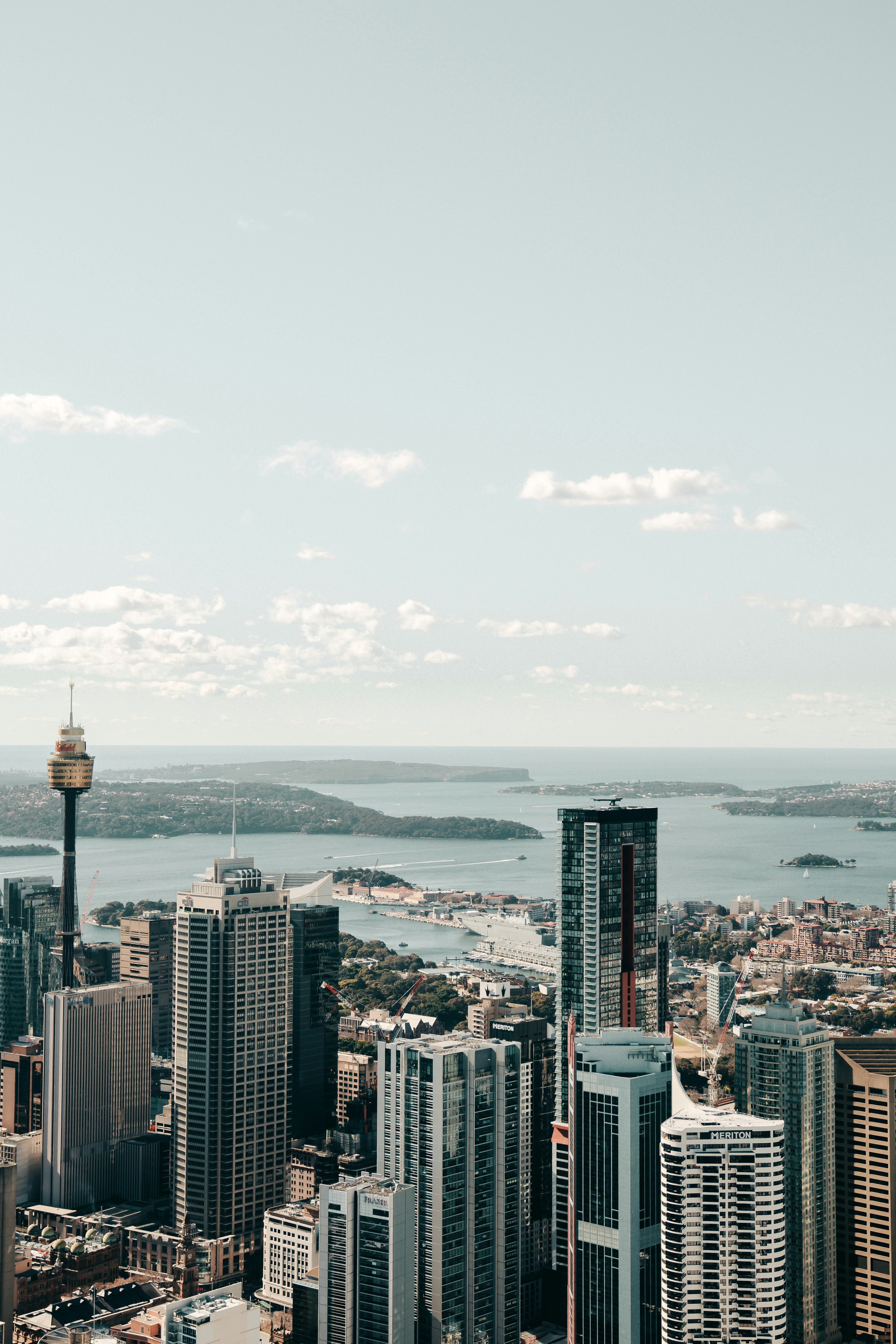 Skyline Overlooking the Harbor: A Sunlit City Folded into the Sea