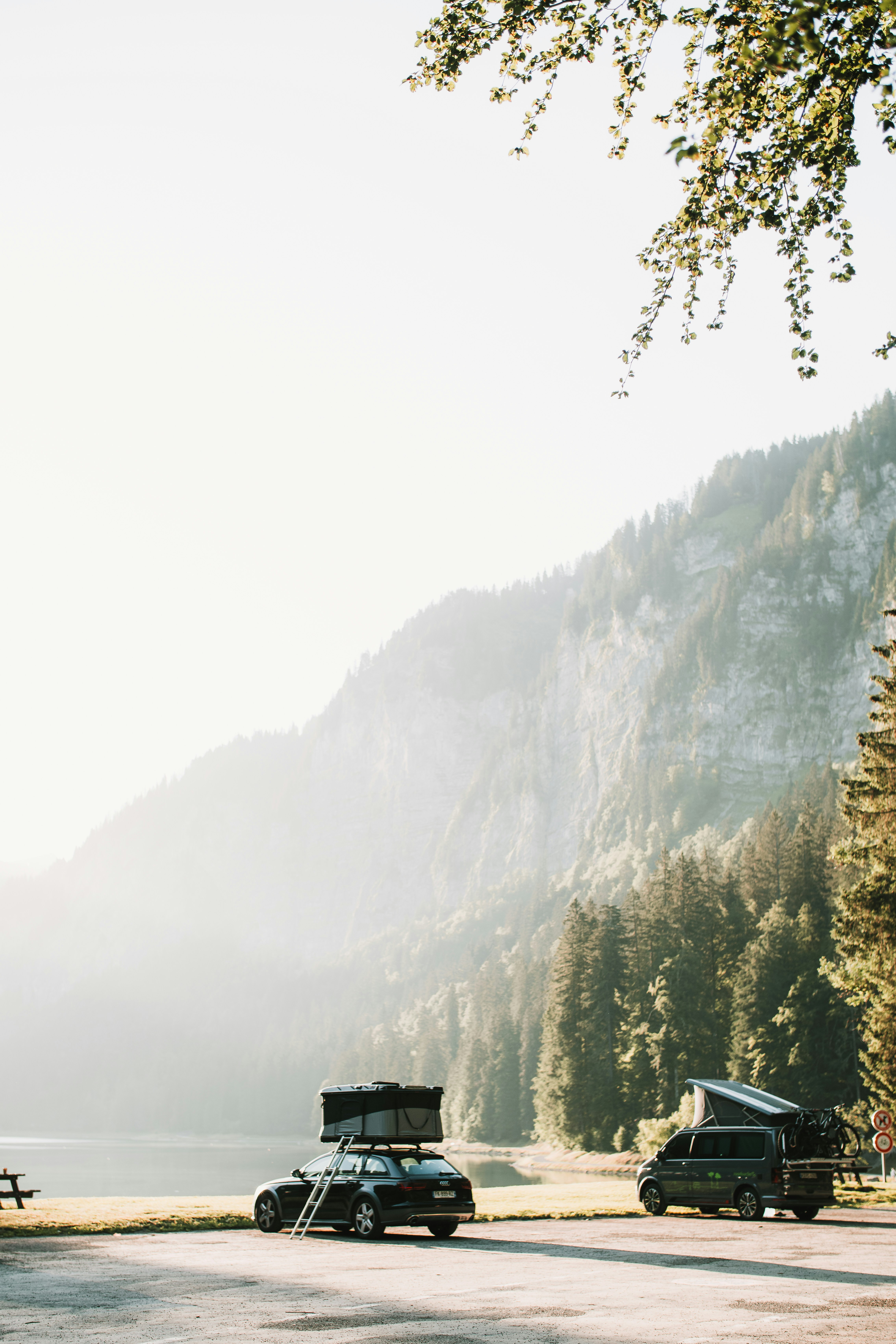 Photo by Annie Spratt with Nikon Z7