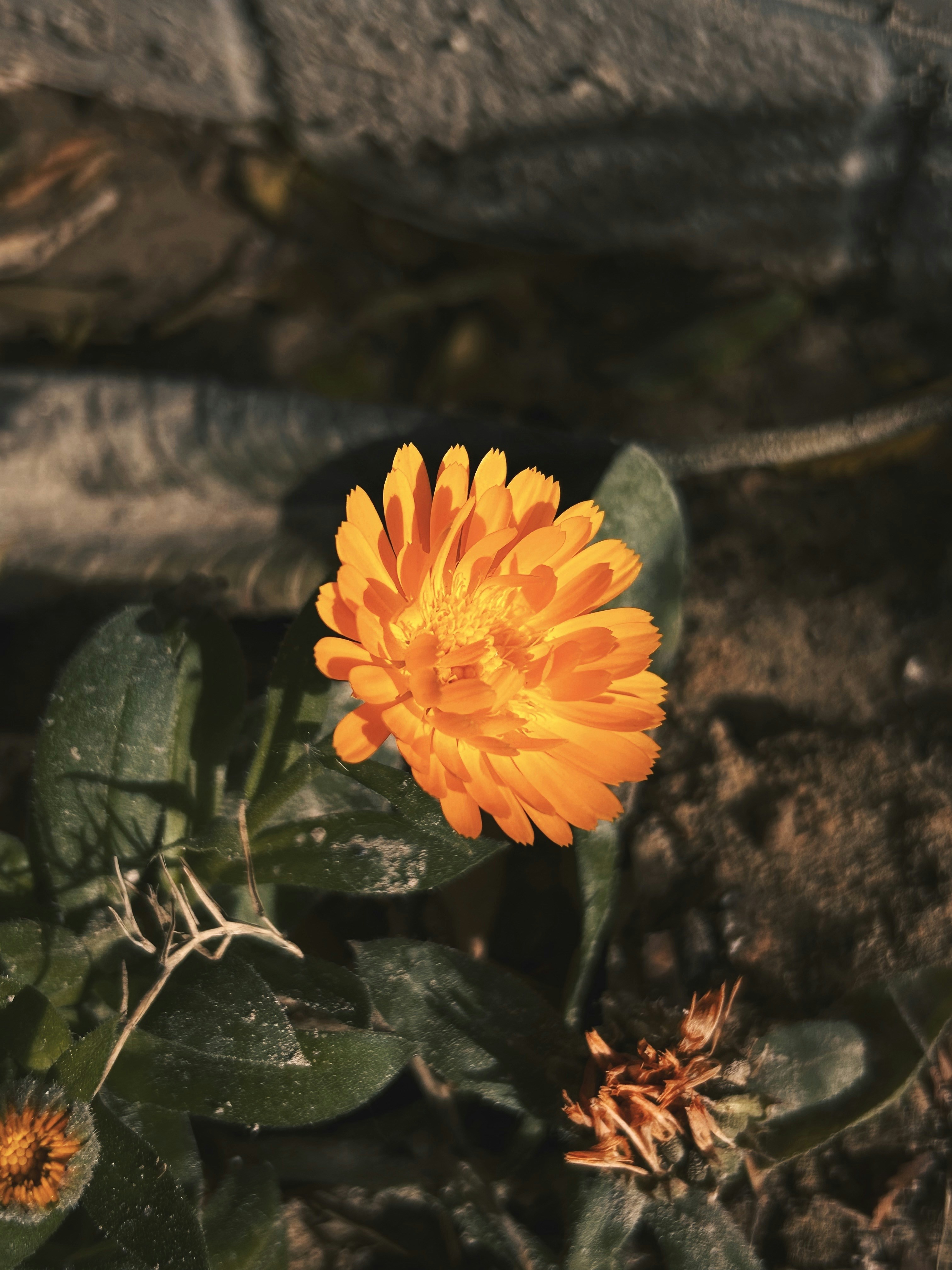 Filza H (@filzah) | Komunitas Foto Unsplash