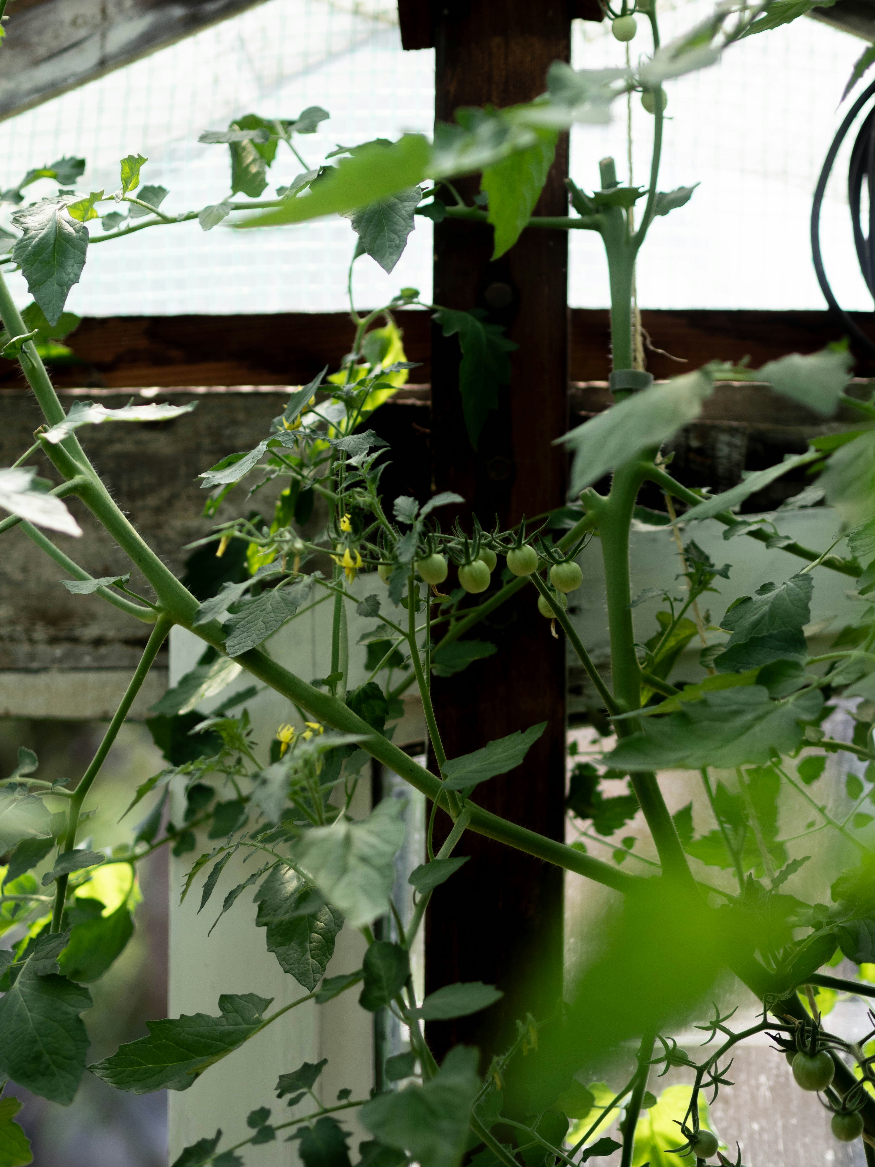 Photo by Eileen Kummer with Olympus OM-D E-M10 Mark II