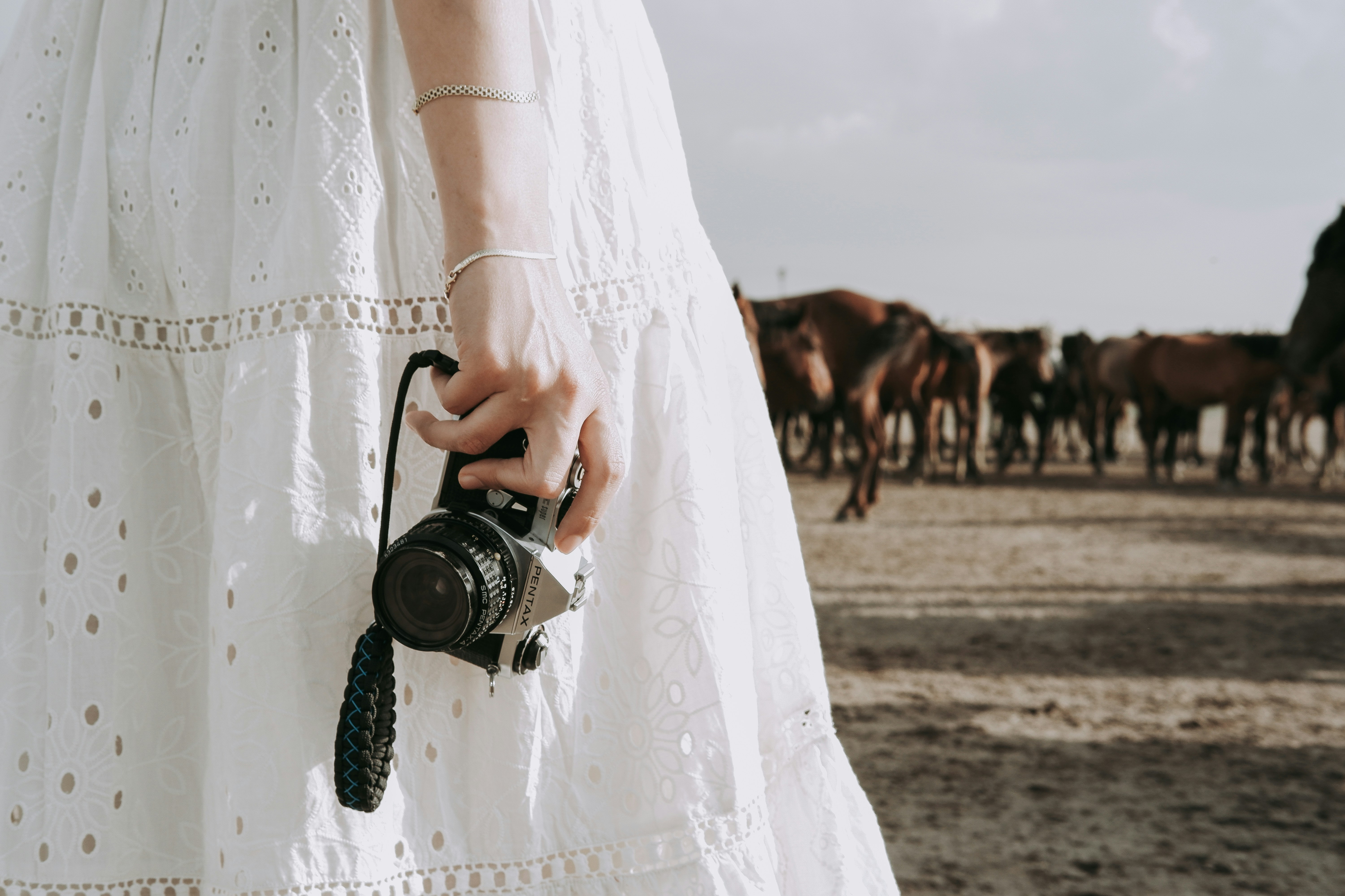 A Quiet Moment with a Vintage Lens Amidst a Herd