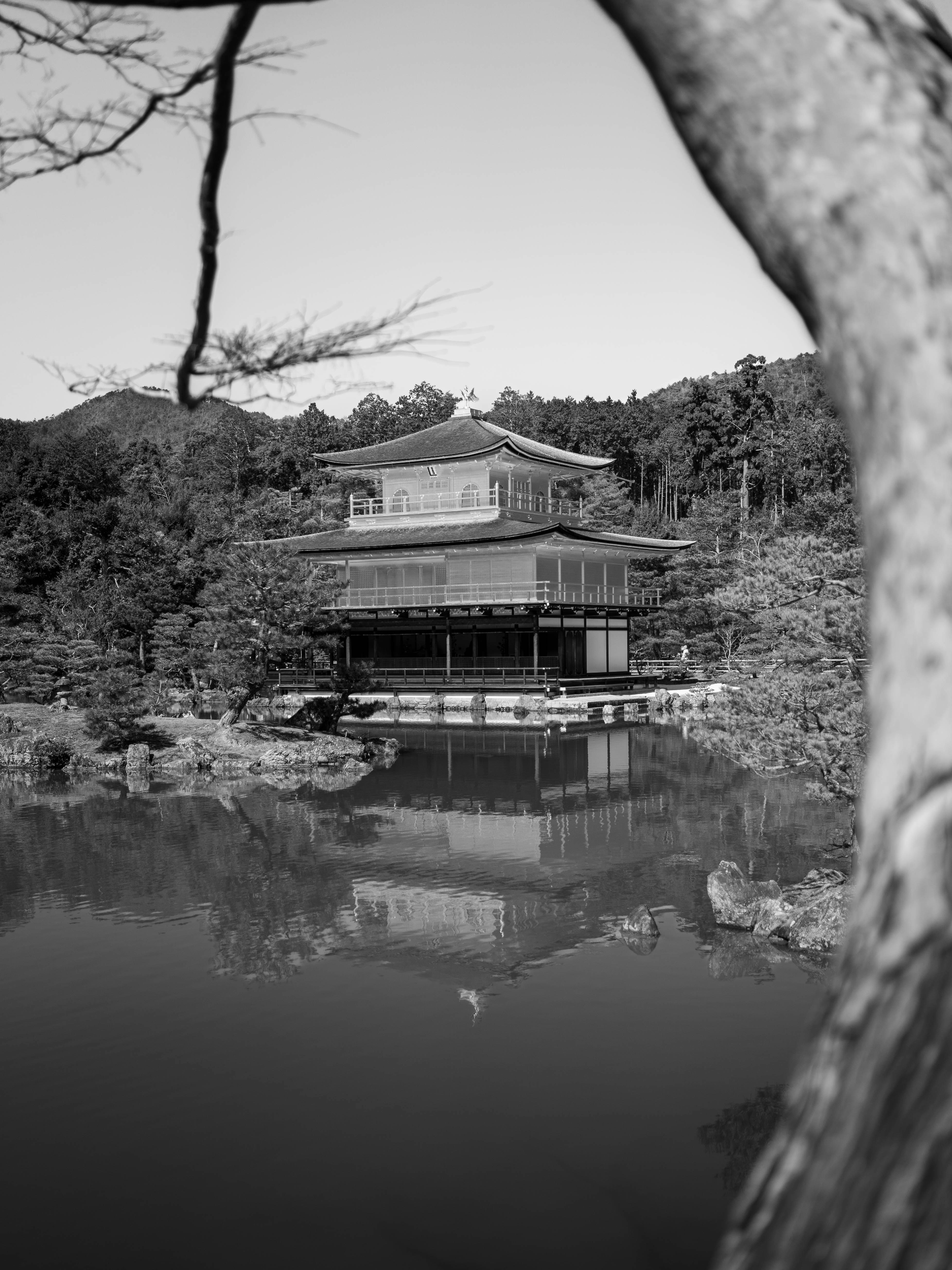 Framed Serenity: The Temple on a Quiet Pond