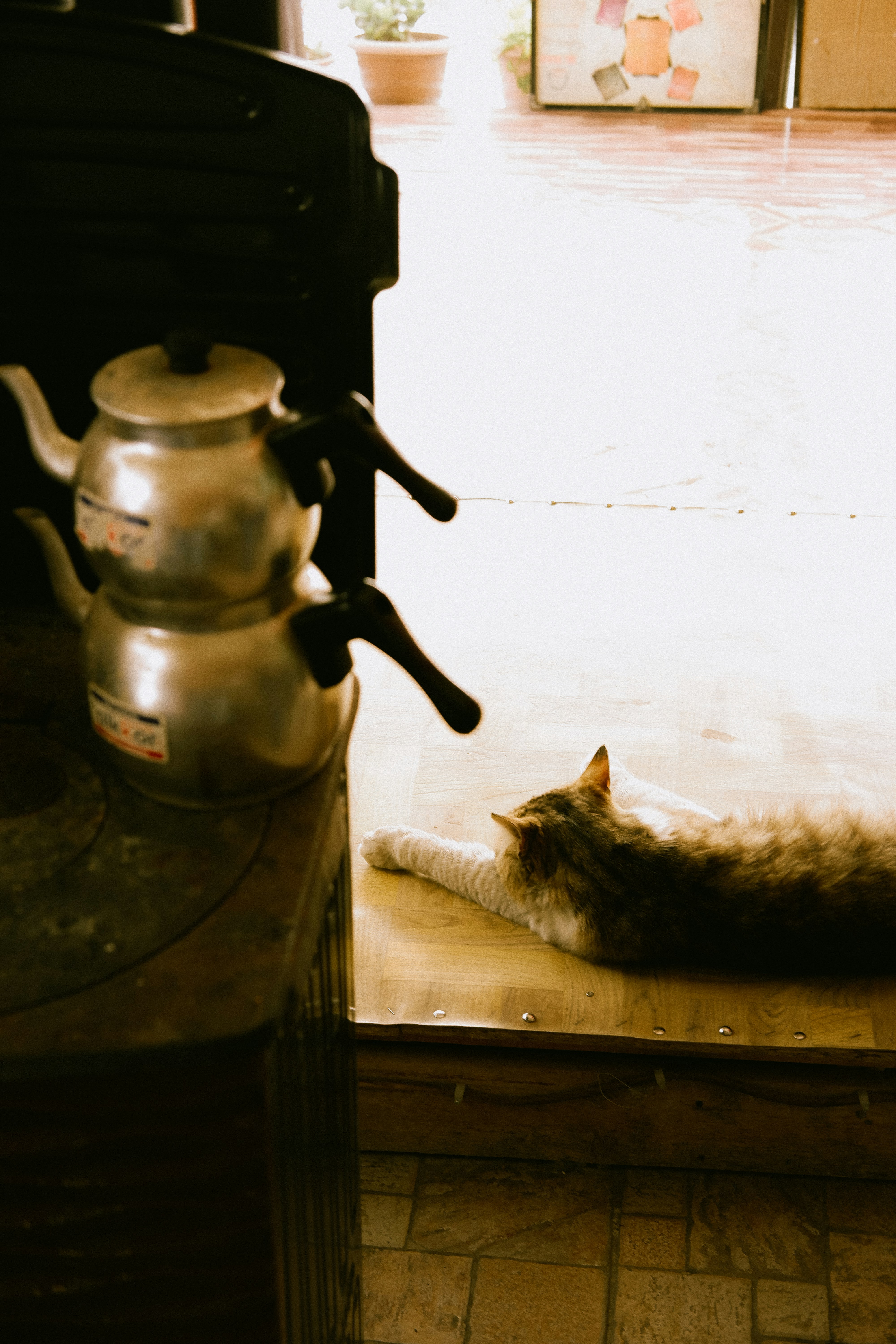 Warm Threshold, Quiet Cat: Resting by an Old Stove
